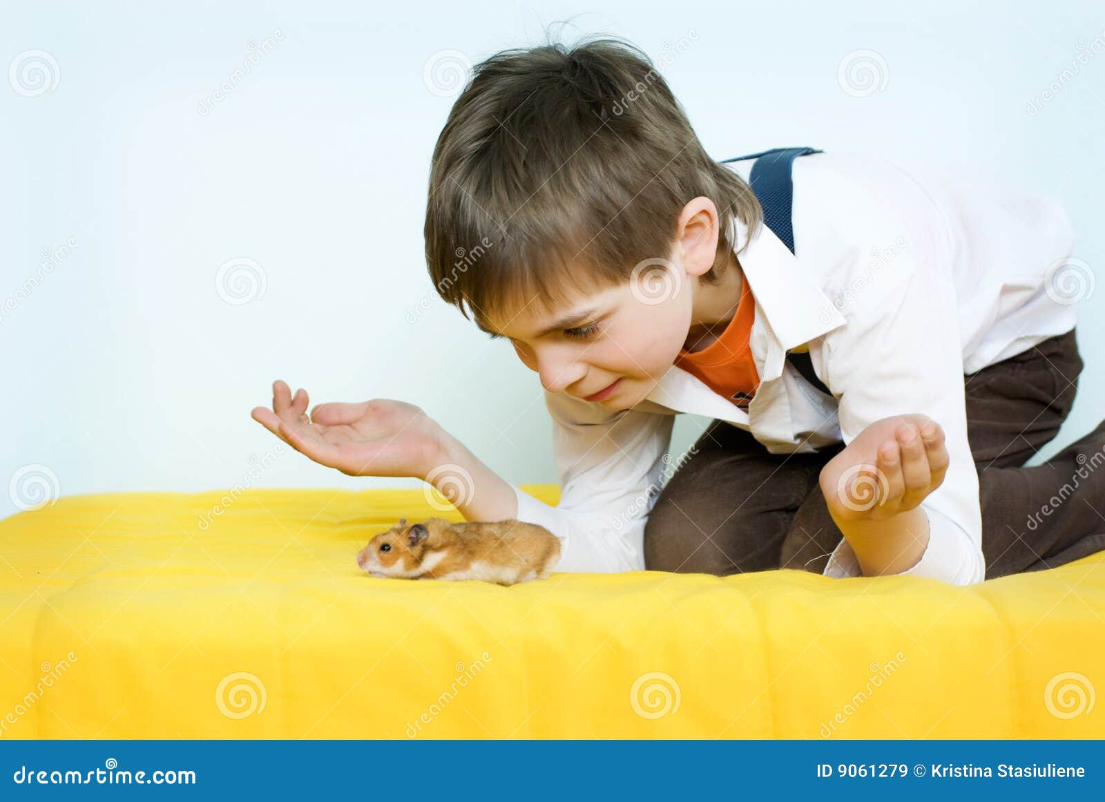 Boy and hamster stock image. Image of protect, person - 9061279