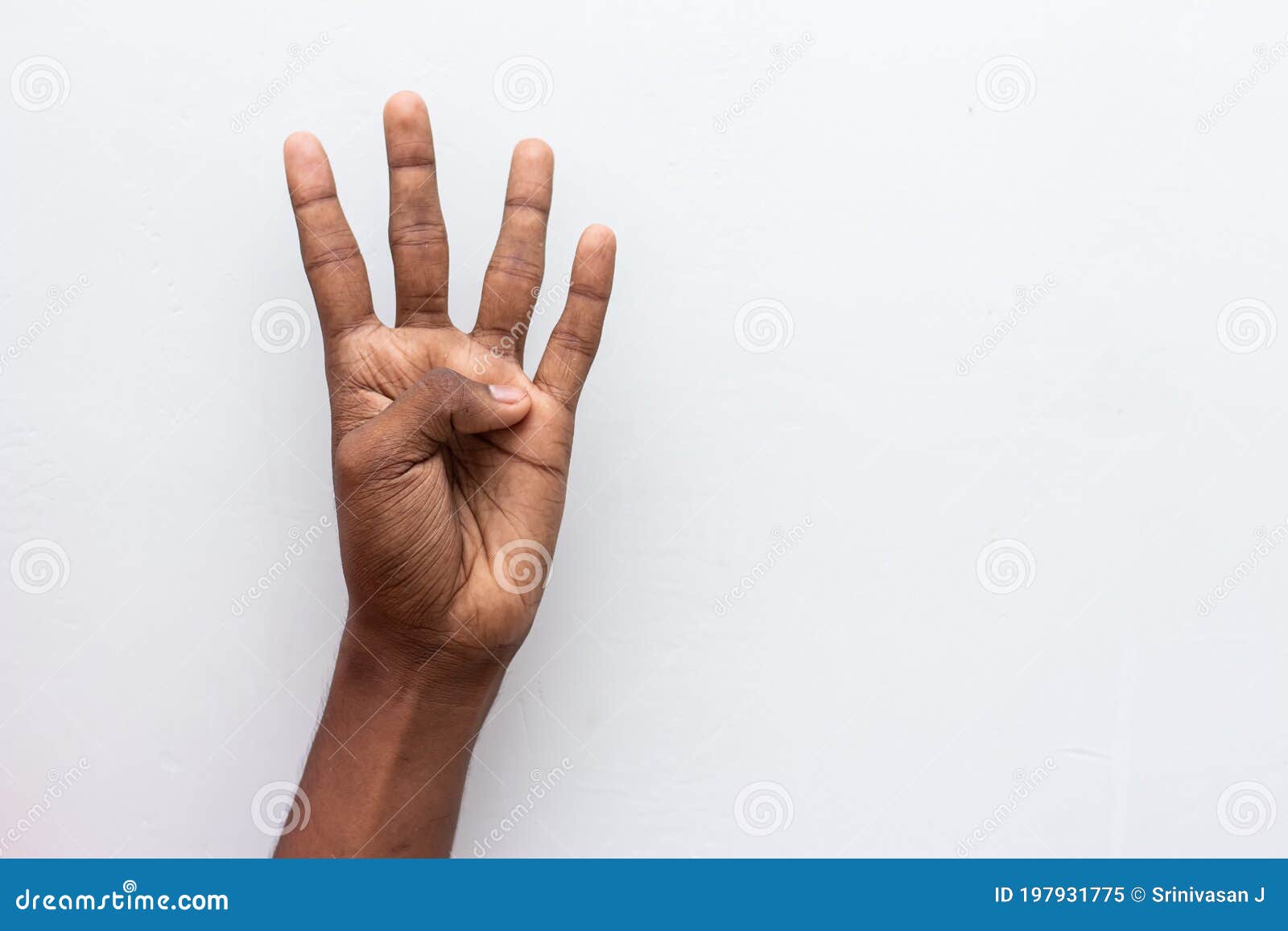 Boy Hand Showing Number Four Gesture Symbol Isolated on White ... Boy Hand Showing Number Four Gesture Symbol Isolated on White ...