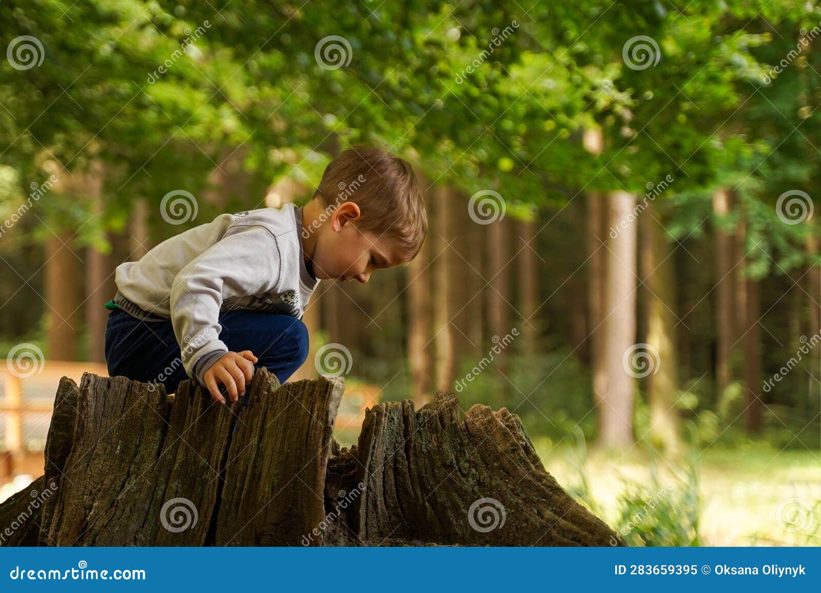The Boy Has Fun Sitting on a Large Stump. Have a Fun Vacation. Stock ...