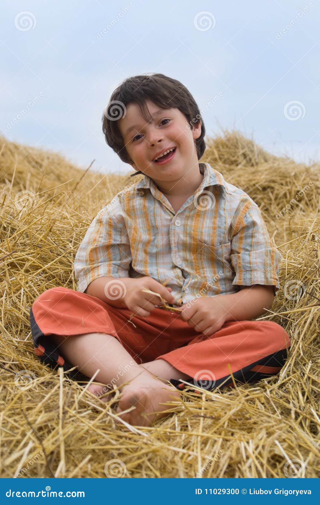 The boy on hay stock photo. Image of child, straw, meadow - 11029300