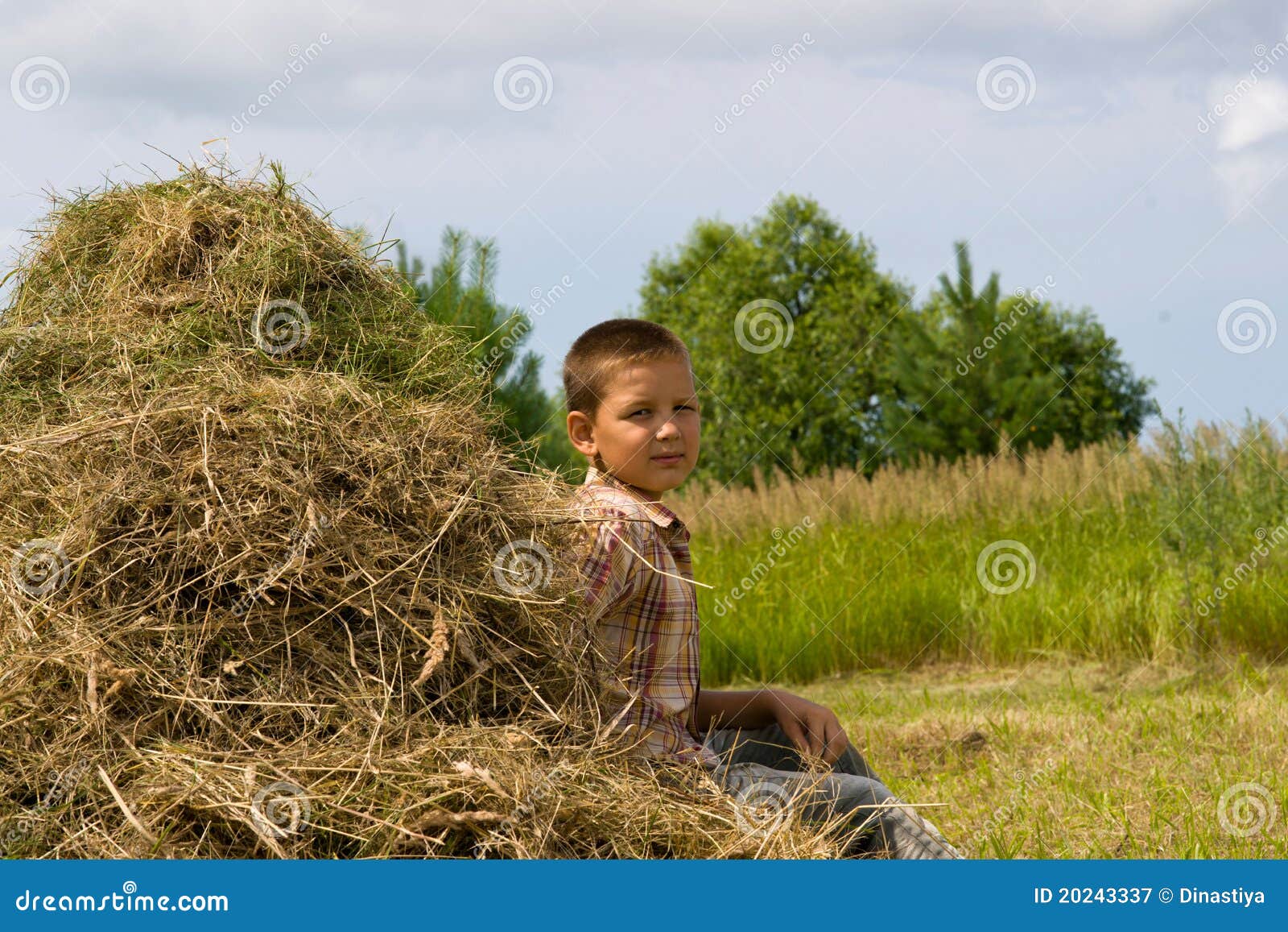 Boy and hay stock image. Image of vacation, grass, person - 20243337