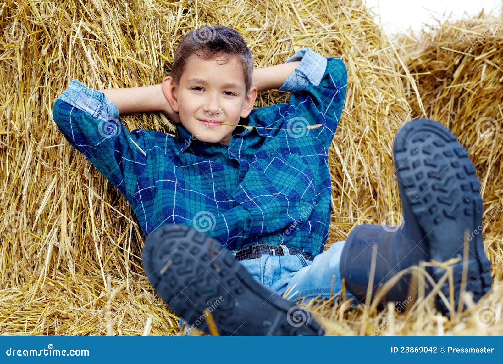 Boy on hay stock photo. Image of childhood, expression - 23869042