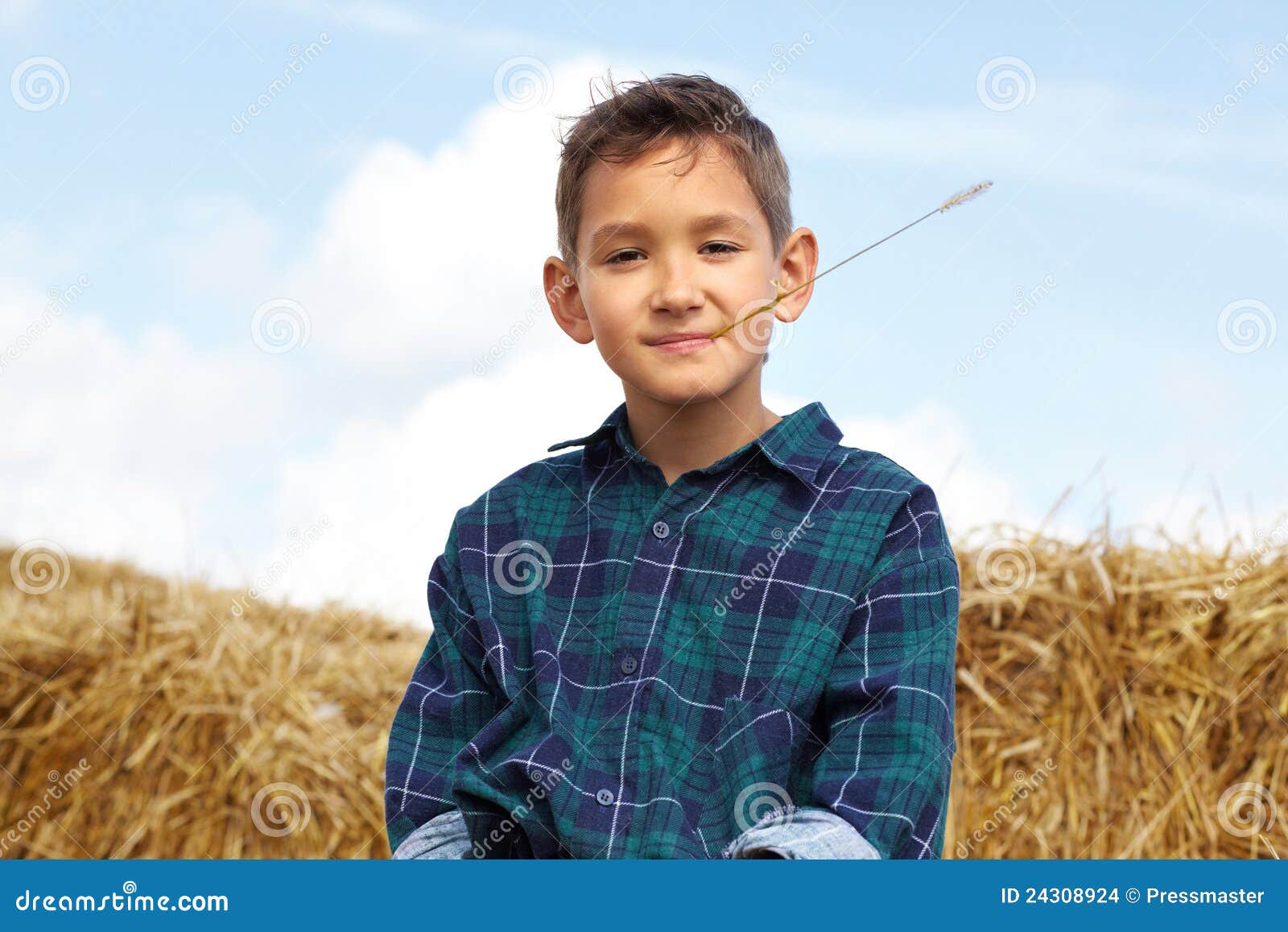 Boy on hay stock photo. Image of smiling, single, happy - 24308924