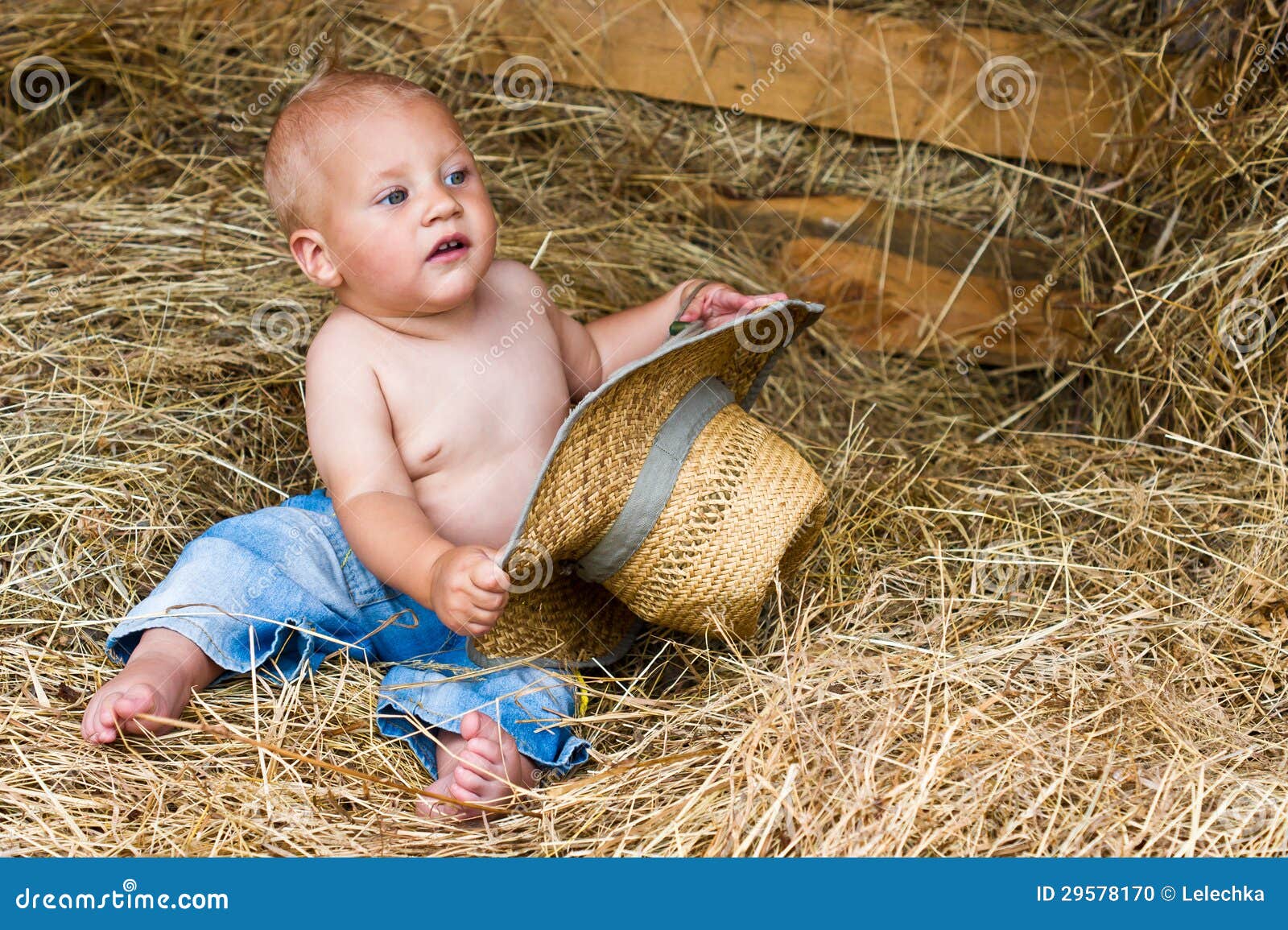 Boy in a hay stock photo. Image of family, childhood - 29578170