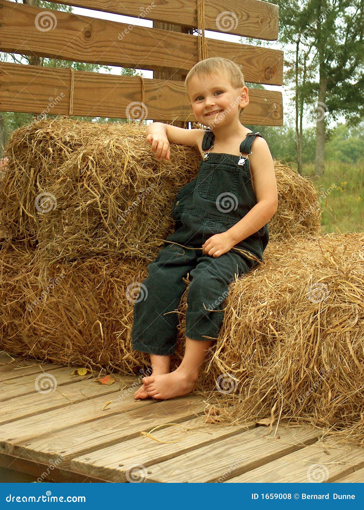 Boy on hay ride stock photo. Image of country, minor, overalls - 1659008
