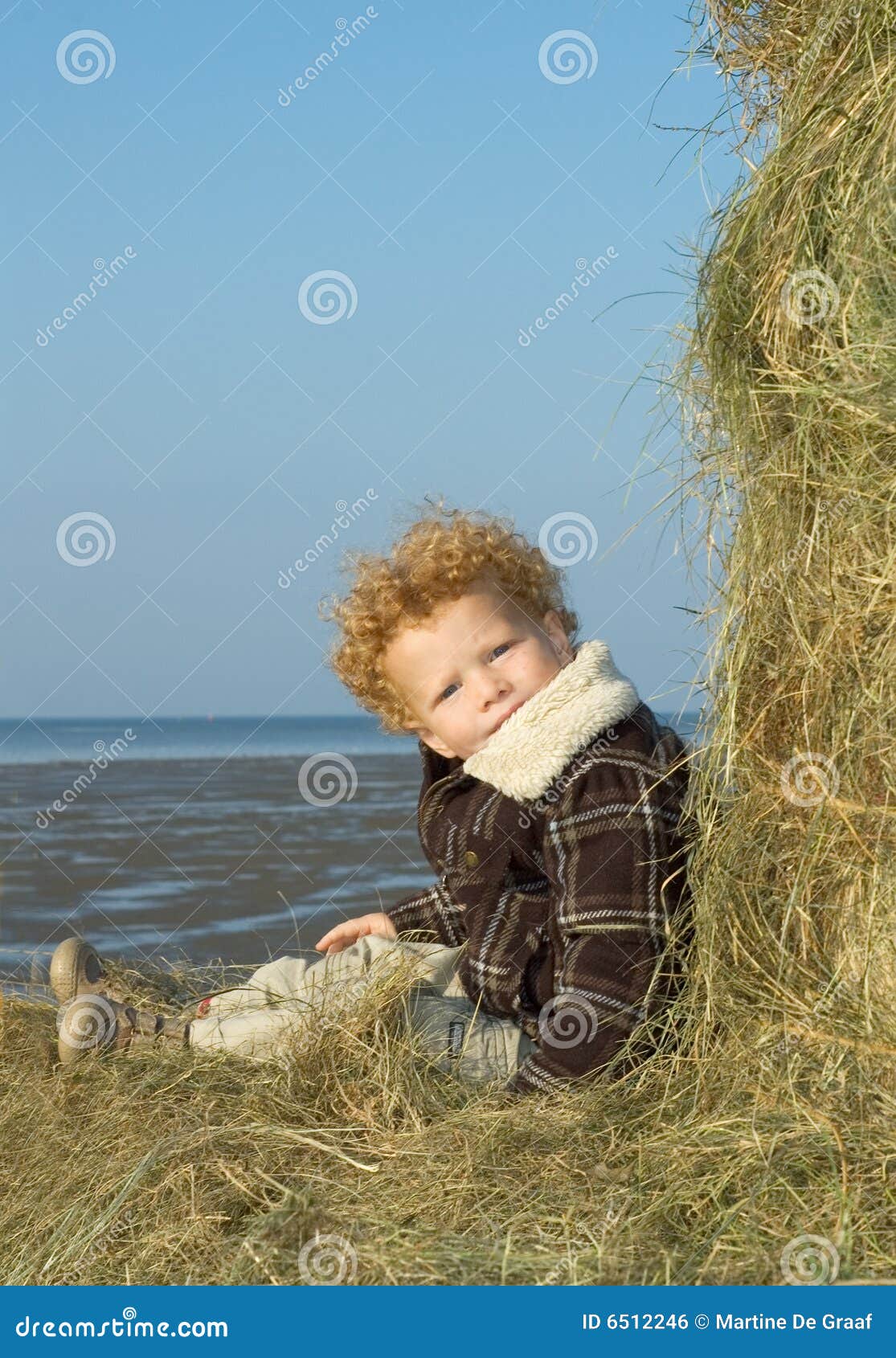Boy on Hay Stack stock photo. Image of haystack, hair - 6512246
