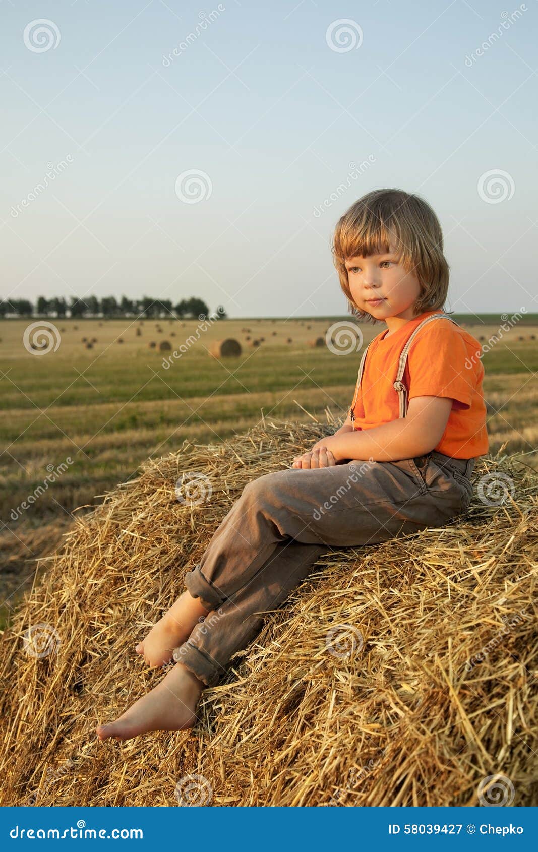 Boy in a Haystack in the Field Stock Image - Image of boys, beautiful ...