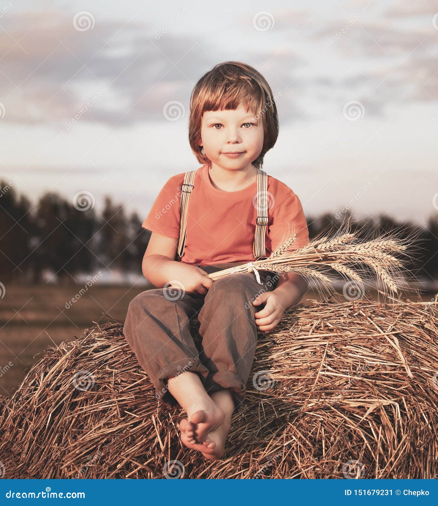 Boy in a Haystack in the Field Stock Image - Image of blue, family ...