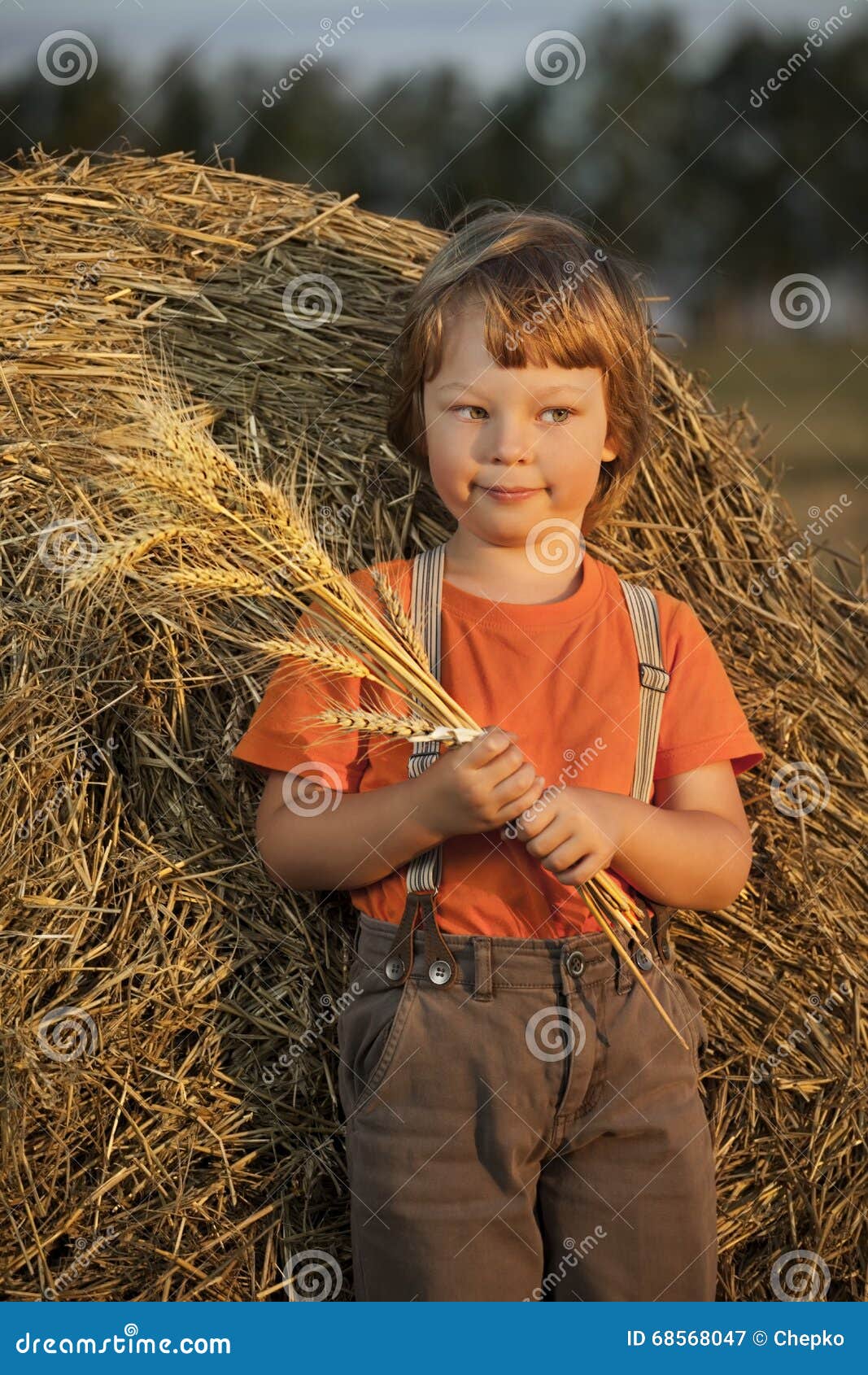 Boy in a Haystack in the Field Stock Image - Image of caucasian, beauty ...