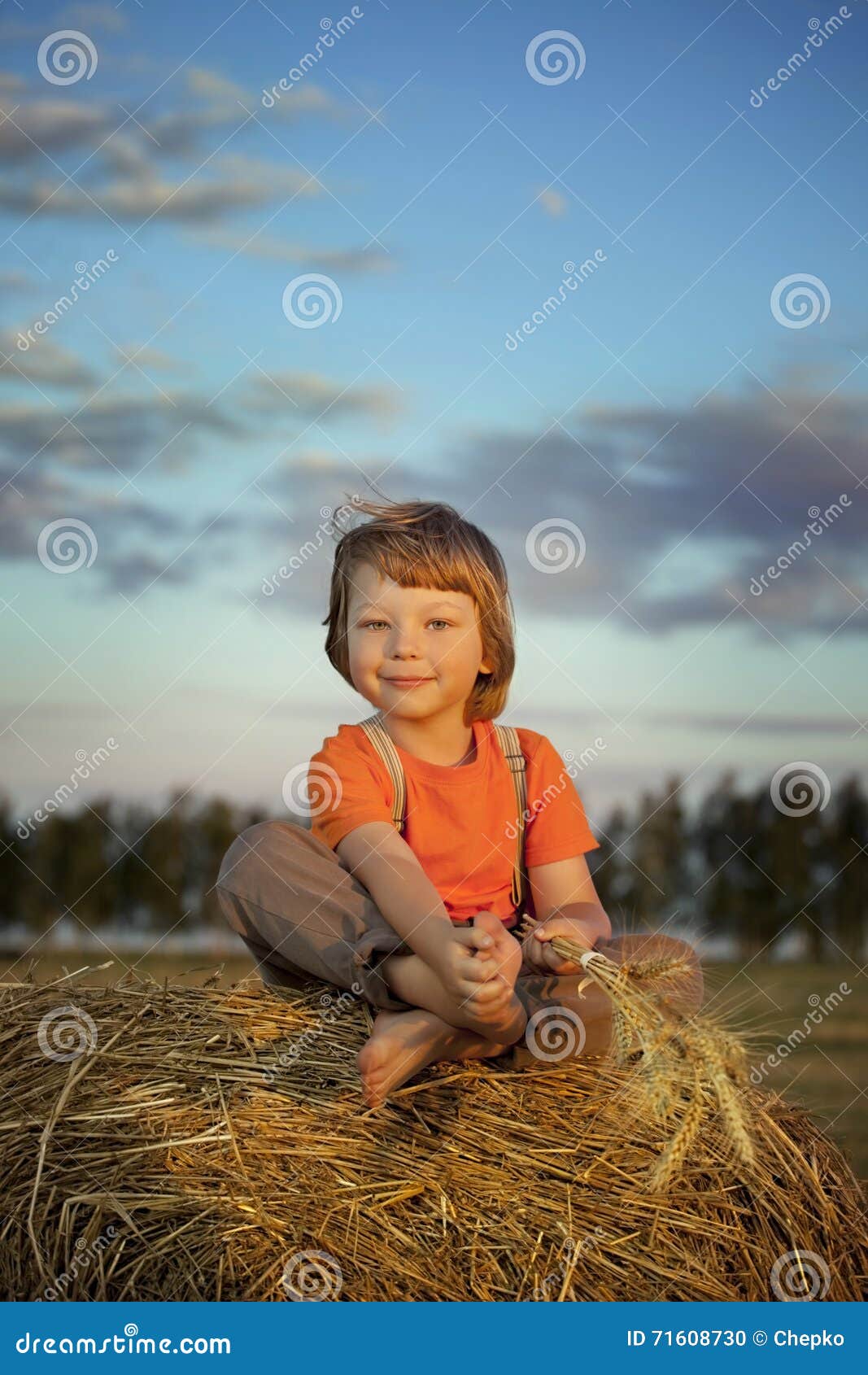 Boy in a Haystack in the Field Stock Photo - Image of family, bale ...