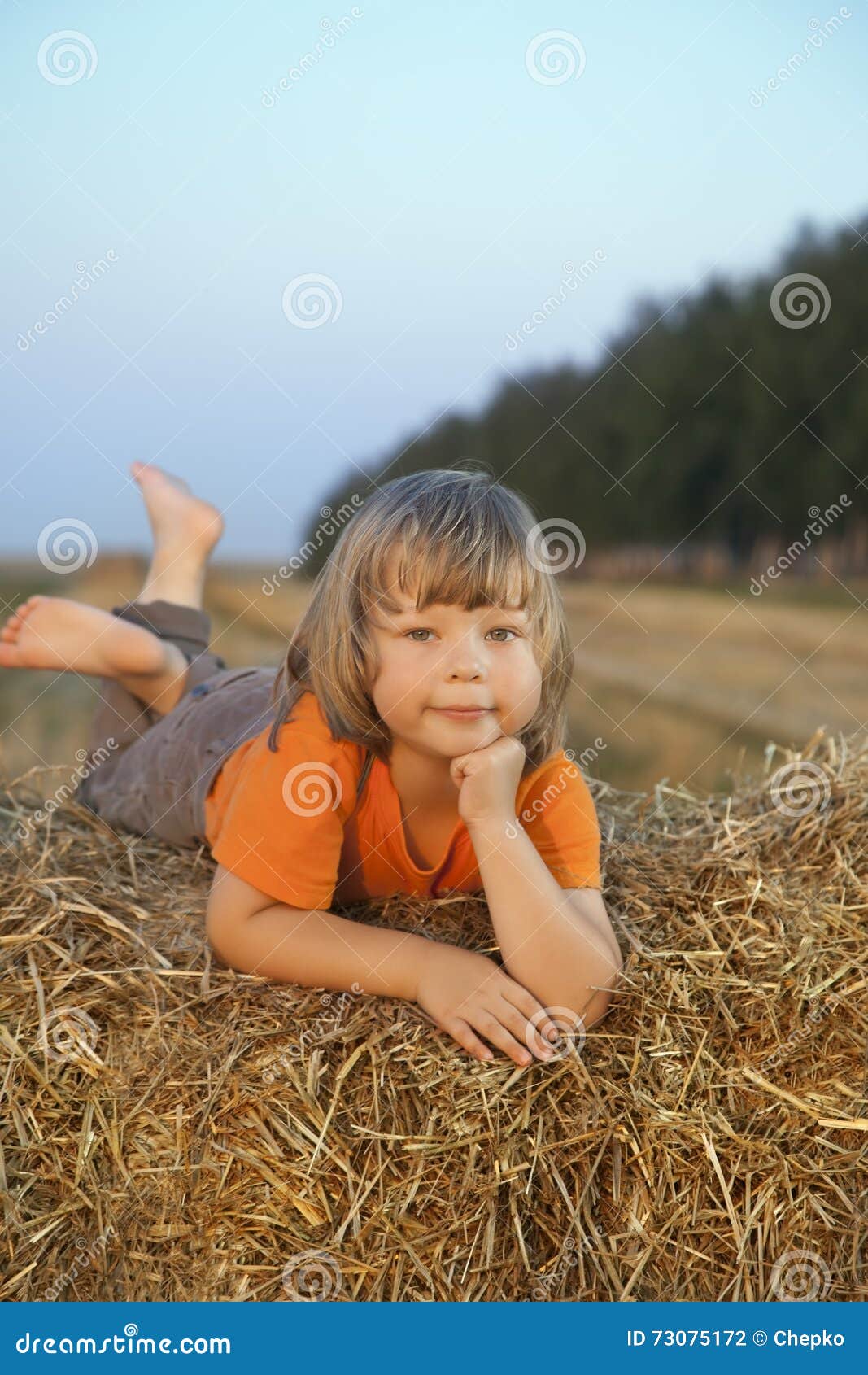 Boy in a Haystack in the Field Stock Photo - Image of lifestyles ...
