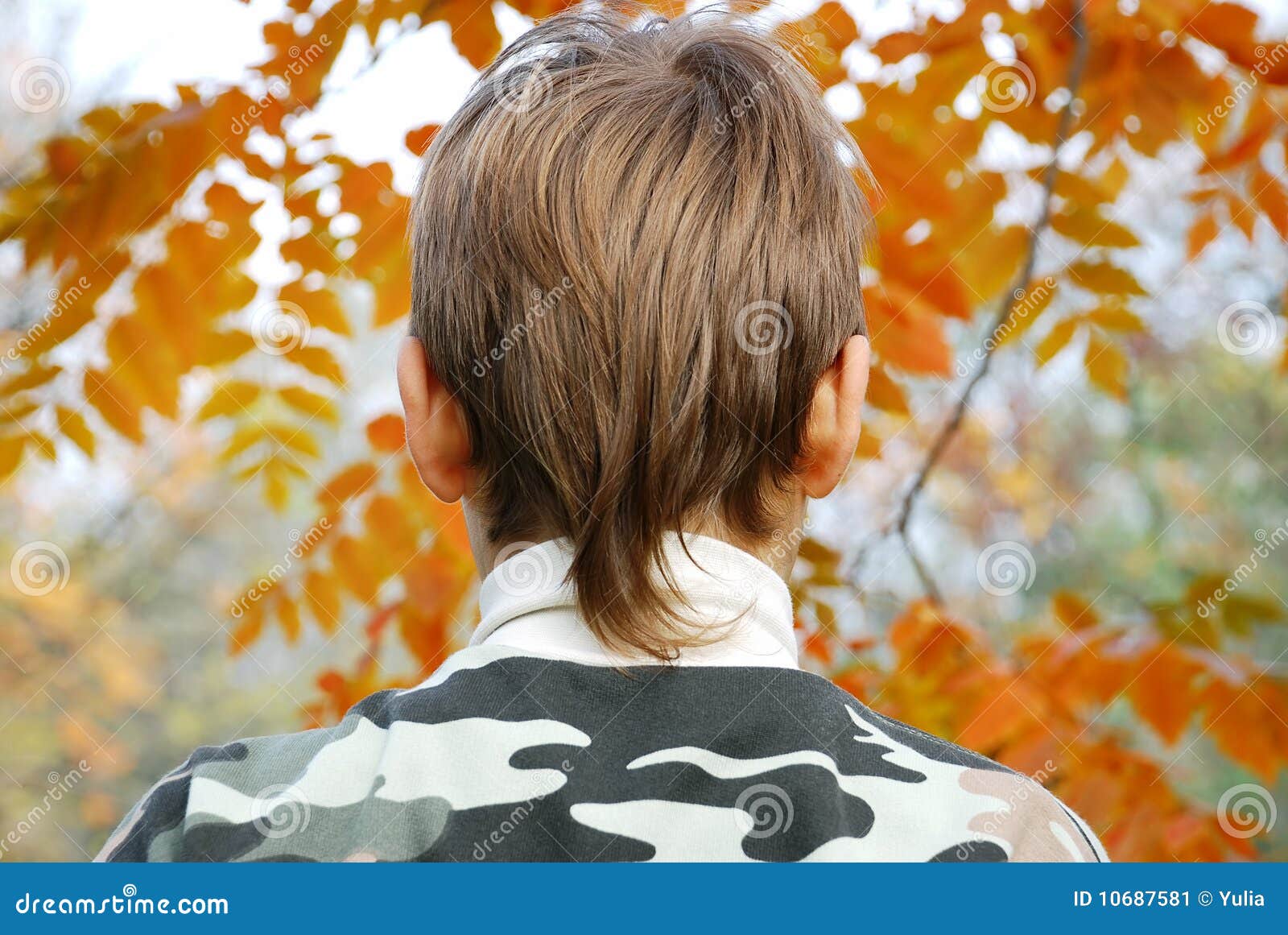 Boy head stock image. Image of leaves, ears, offense - 10687581
