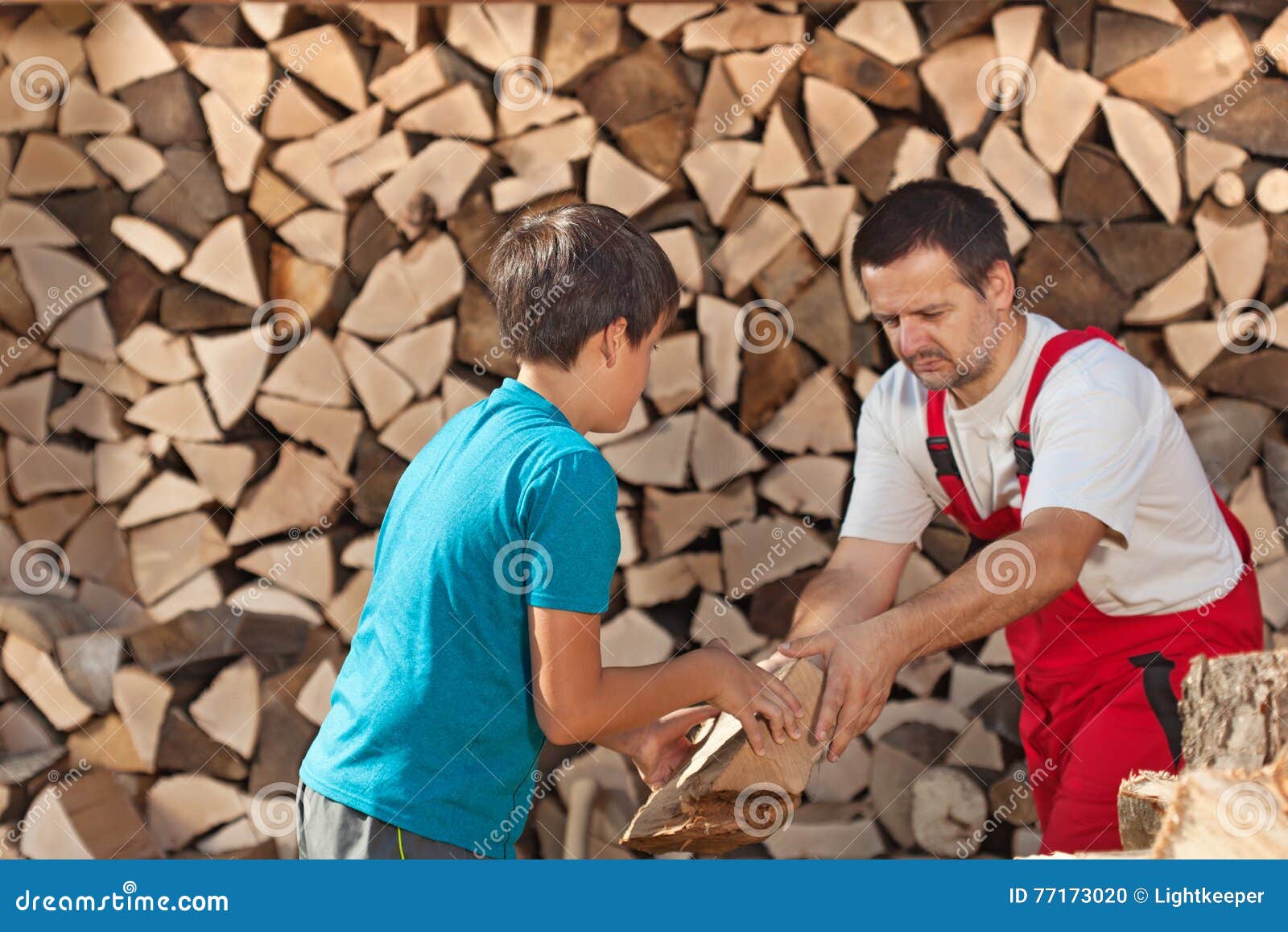 Boy Helping His Father Stacking the Firewood Stock Photo - Image of ...