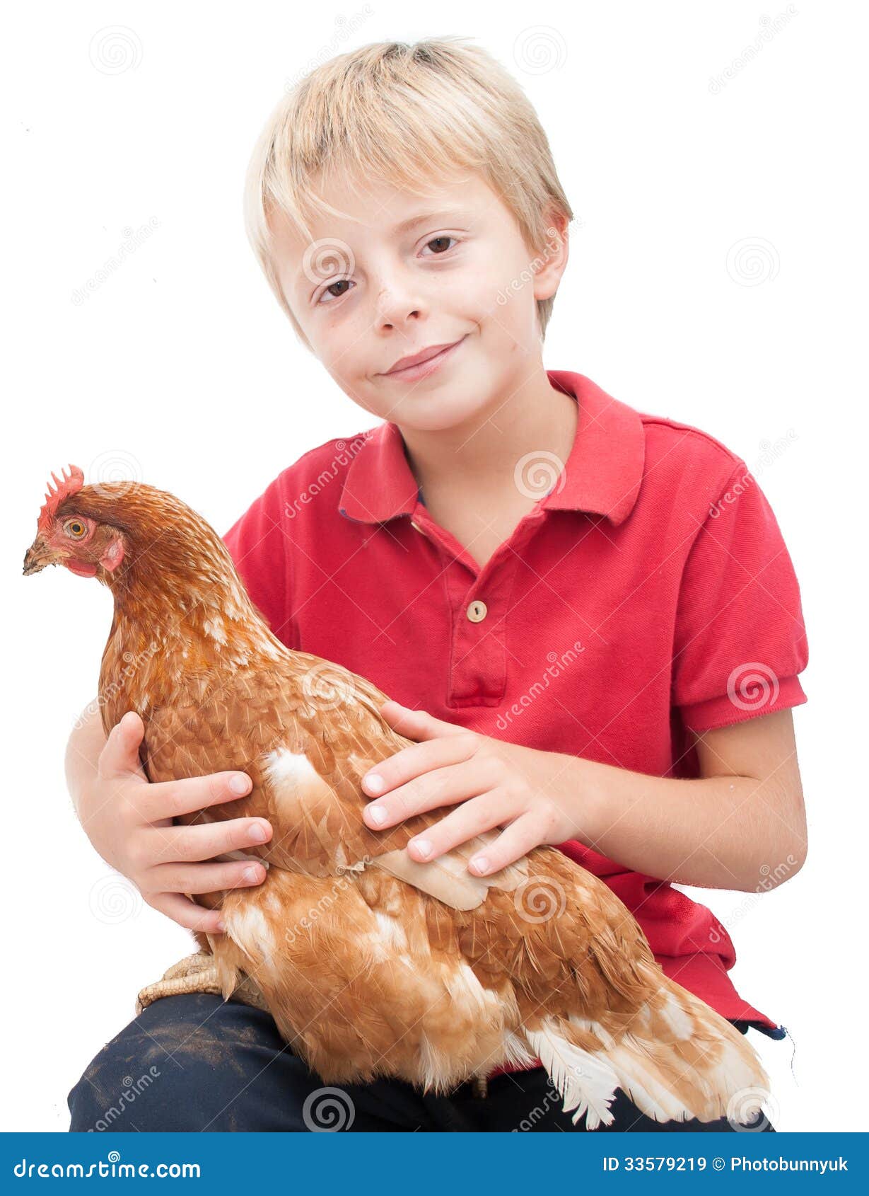 Boy and a hen. stock image. Image of bird, child, holding - 33579219