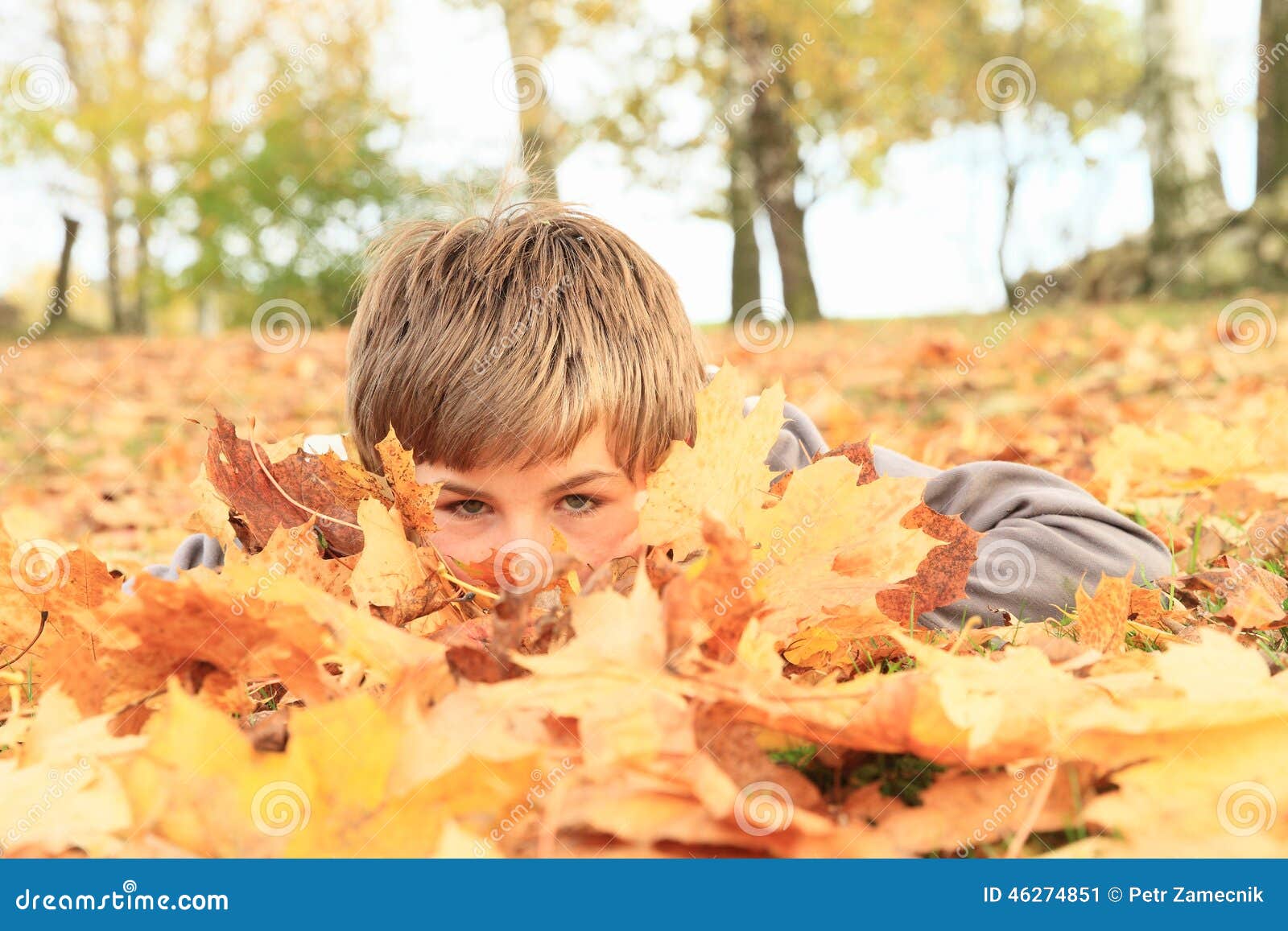 Boy hiding behind leaves stock image. Image of observe - 46274851