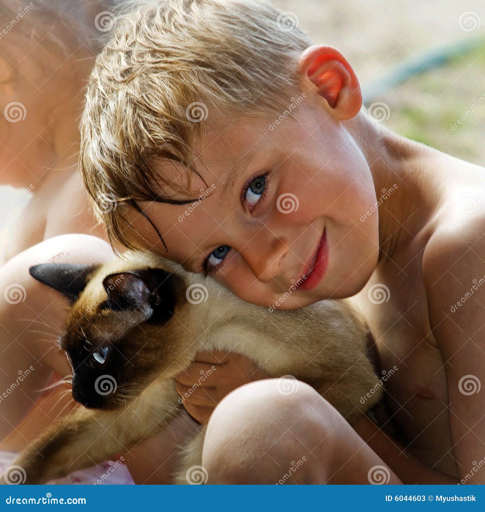 Boy and his cat stock image. Image of sunshine, quicksand - 6044603
