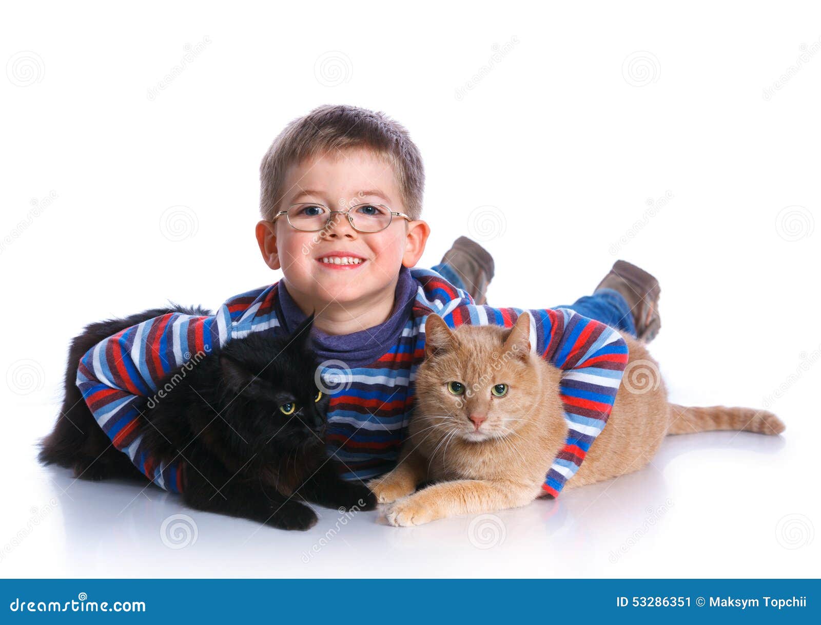 Boy with his cat stock image. Image of childhood, cute - 53286351