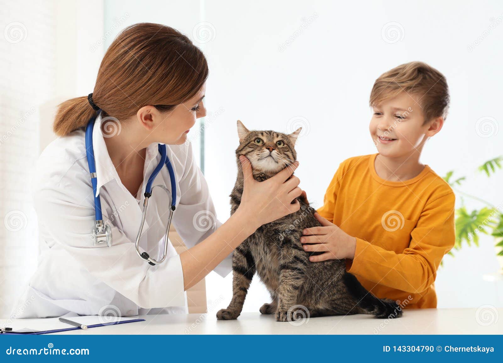 Boy with His Cat Visiting Veterinarian Stock Photo - Image of indoors ...