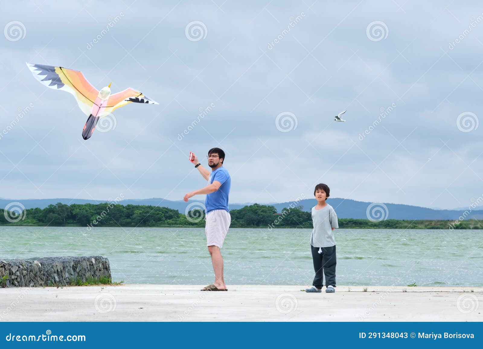 A Boy and His Dad Fly a Kite. Stock Image - Image of sunlight, together ...