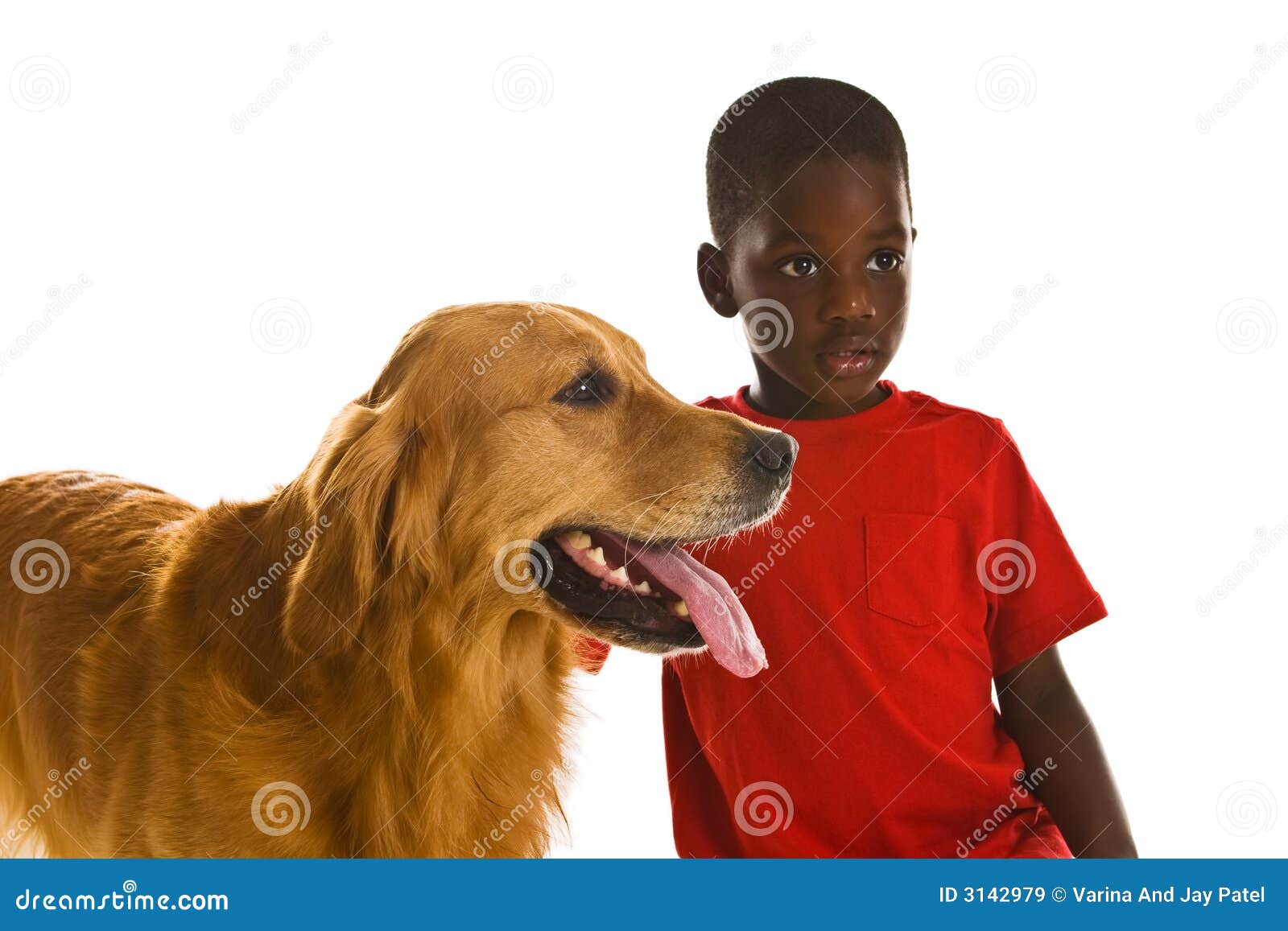 A Boy and his Dog. stock image. Image of retriever, familiaris - 3142979