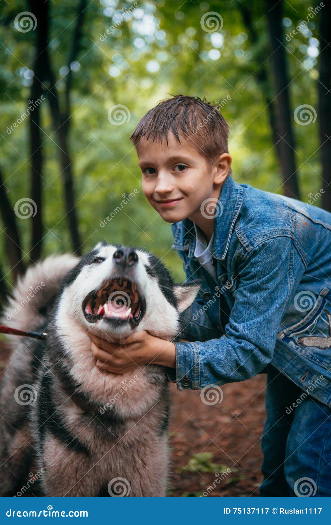 Boy and His Dog Husky on the Background of Leaves in Spring Stock Image ...