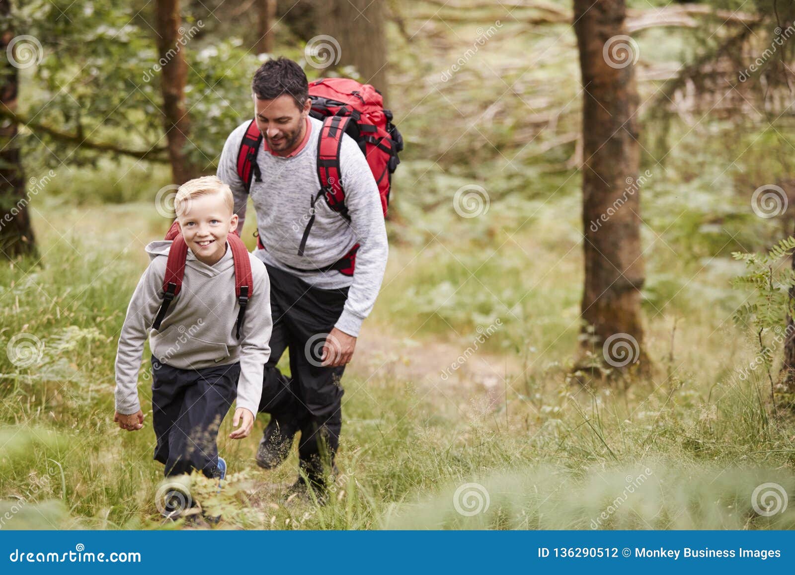 A Boy and His Father Walking Together on a Trail between Trees in a ...
