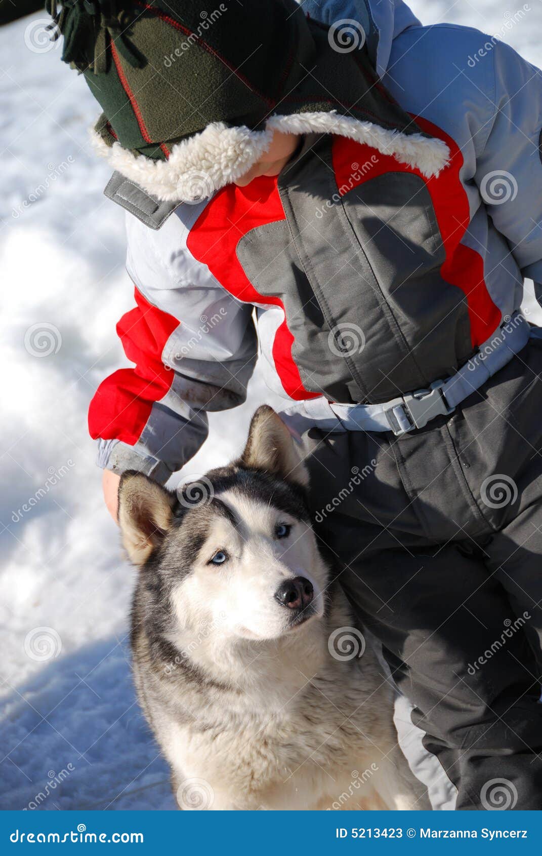 Boy and his husky dog stock image. Image of outdoor, wearing - 5213423