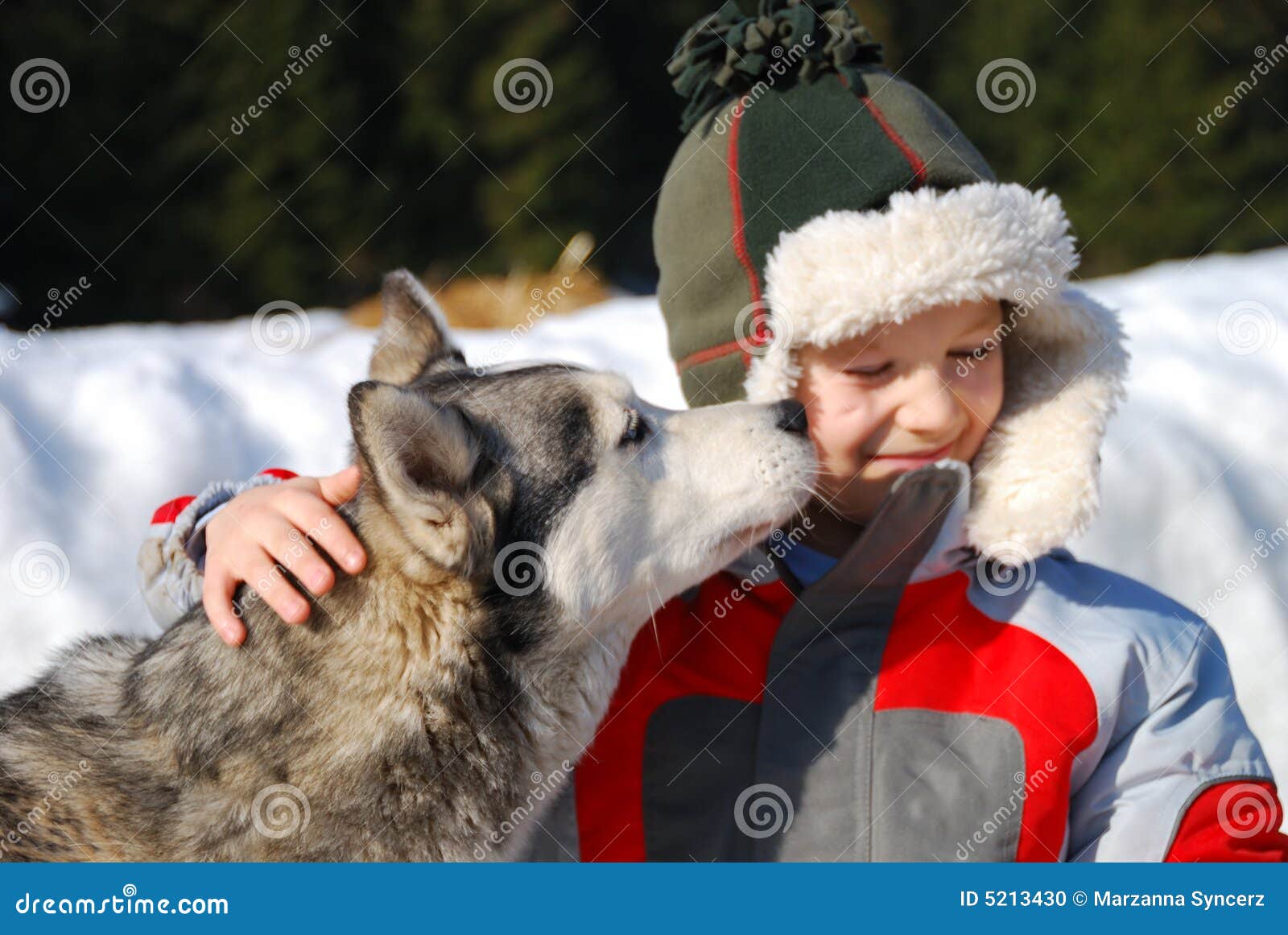 Boy with his husky dog stock photo. Image of smile, wear - 5213430