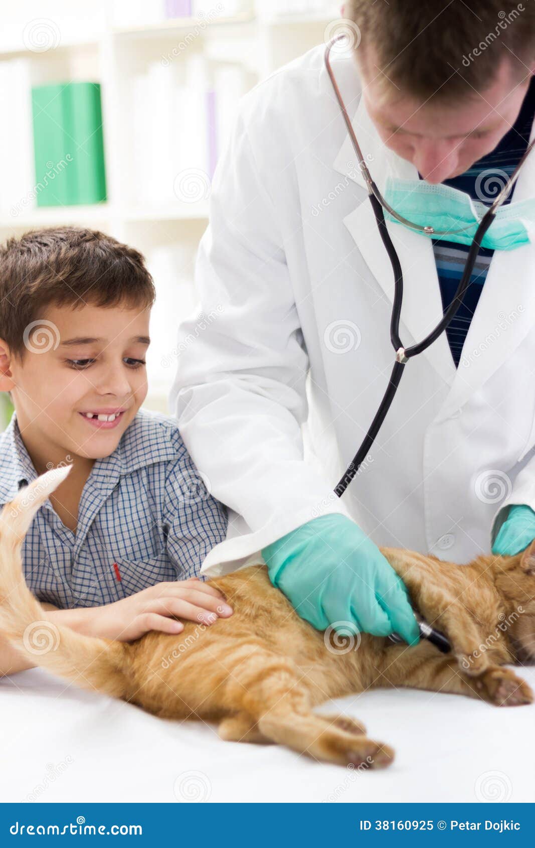 Boy and His Kitten at the Veterinary Doctor Office Stock Image - Image ...