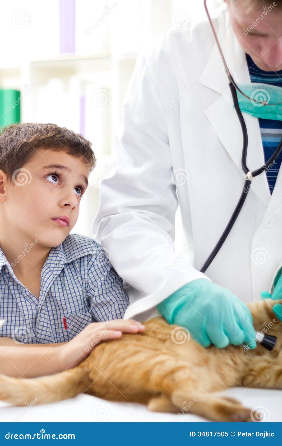 Boy and His Kitten at the Veterinary Doctor Office-focus on the Stock ...