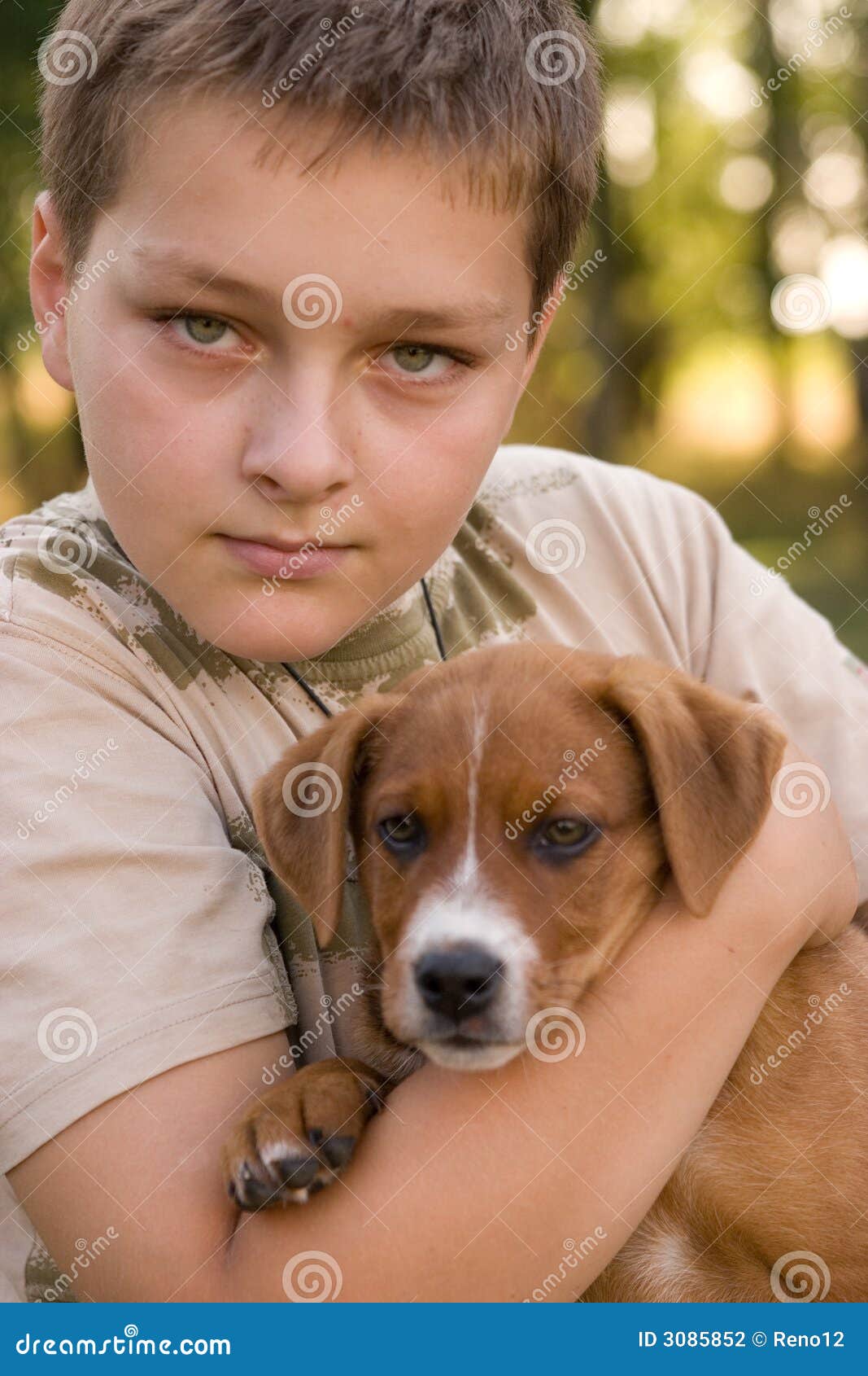 Boy and his pet stock photo. Image of teenager, teen, boys - 3085852