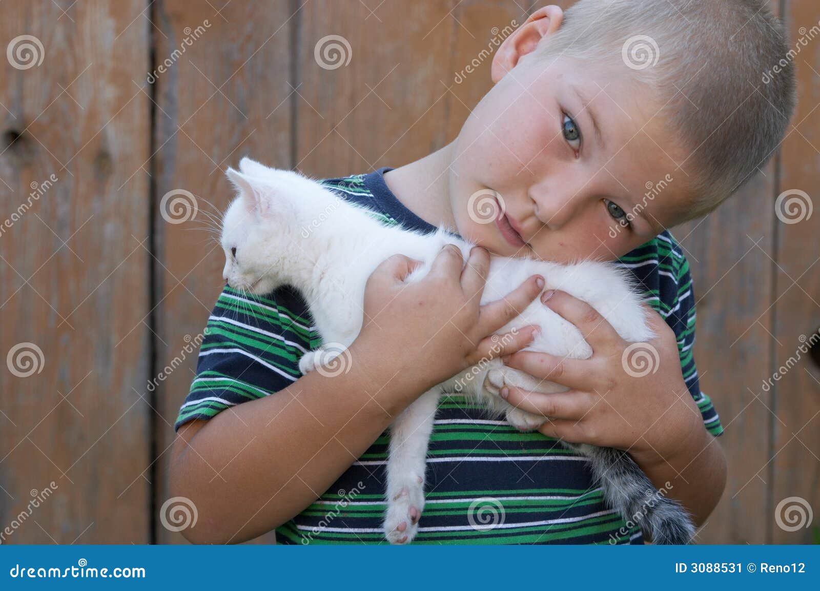 Boy and his pet stock image. Image of cute, white, children - 3088531