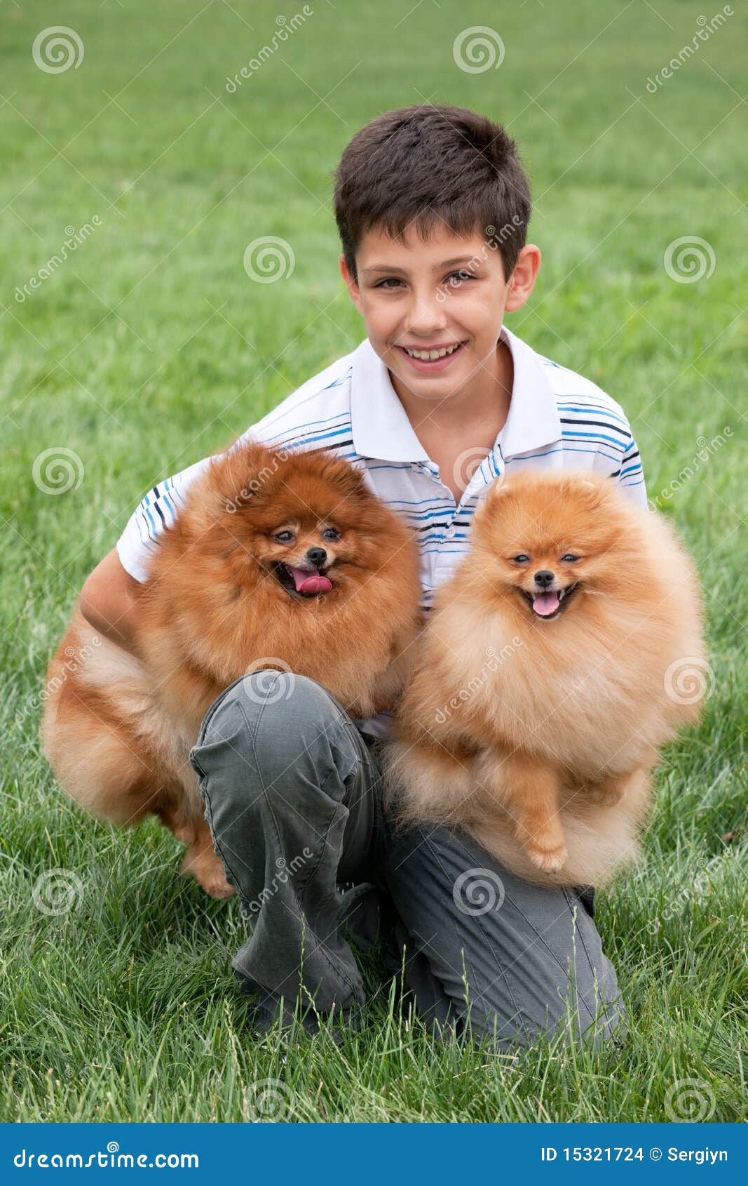 Boy with his pets stock photo. Image of handsome, meadow - 15321724