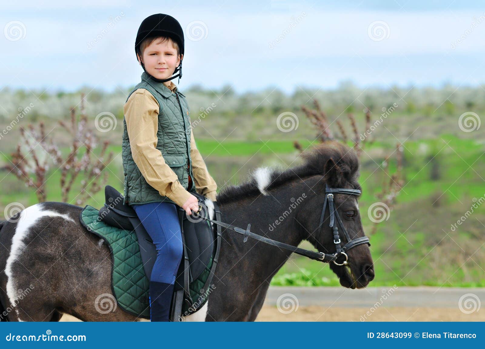 Boy and his Shetland pony stock image. Image of portrait - 28643099