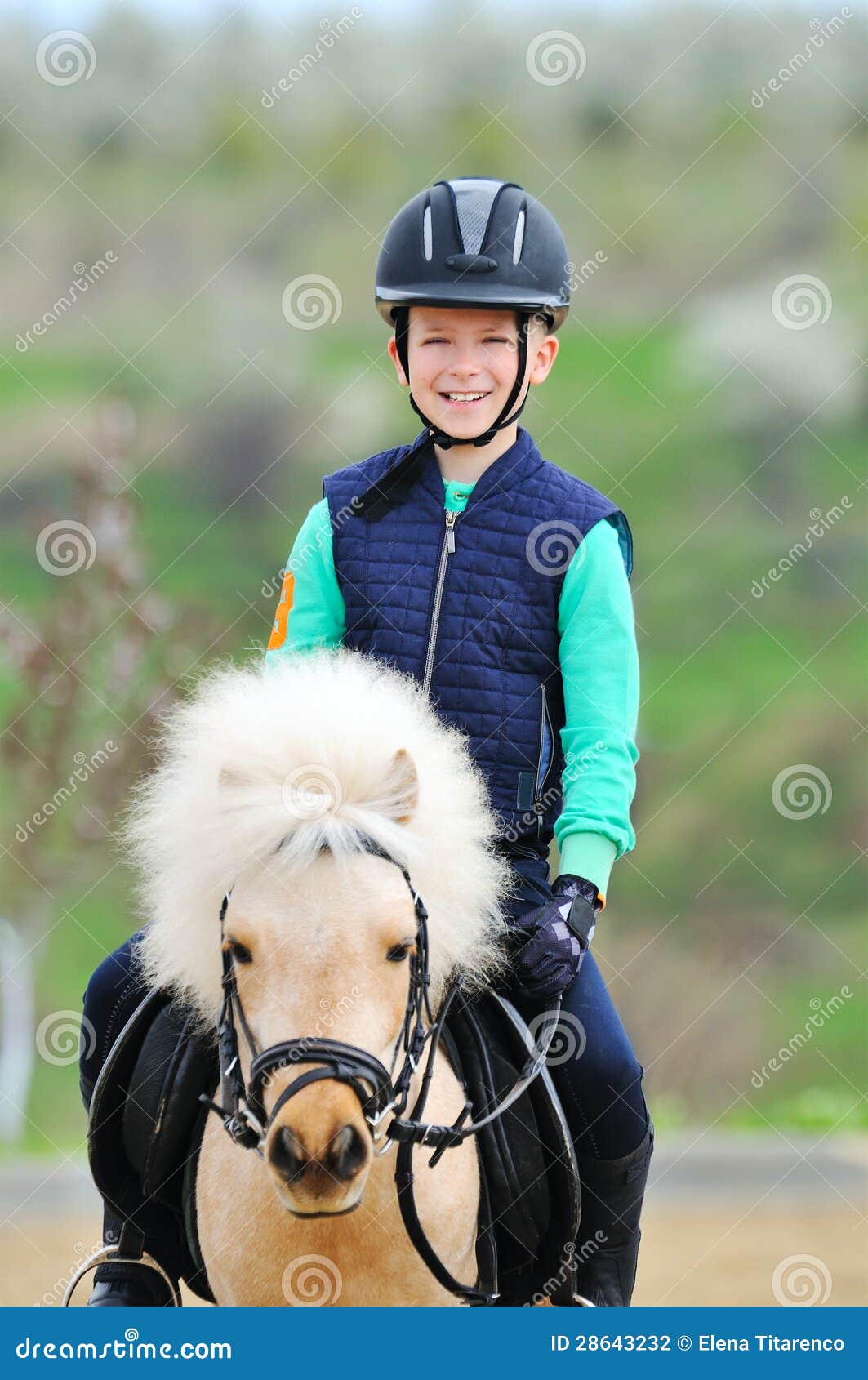 Boy and his Shetland pony stock photo. Image of animal - 28643232