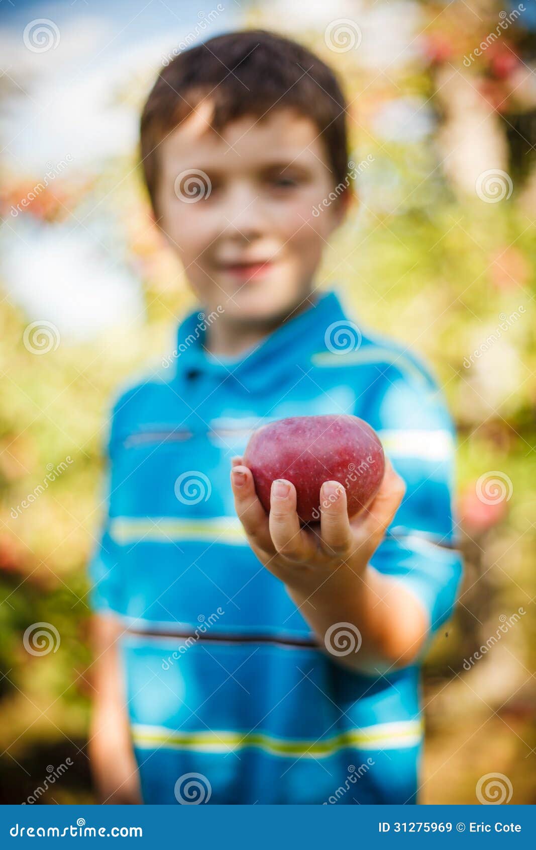 Boy holding an apple stock image. Image of food, appletree - 31275969