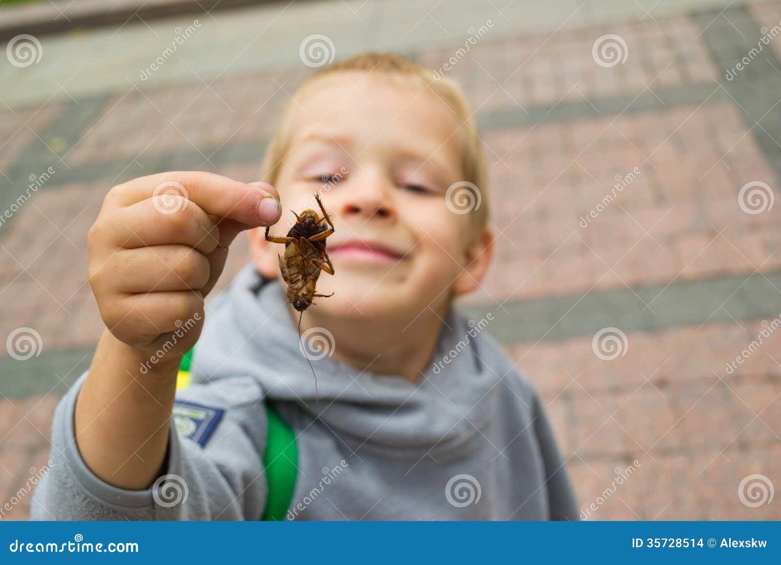 Boy holding a beetle stock photo. Image of insect, beetle - 35728514