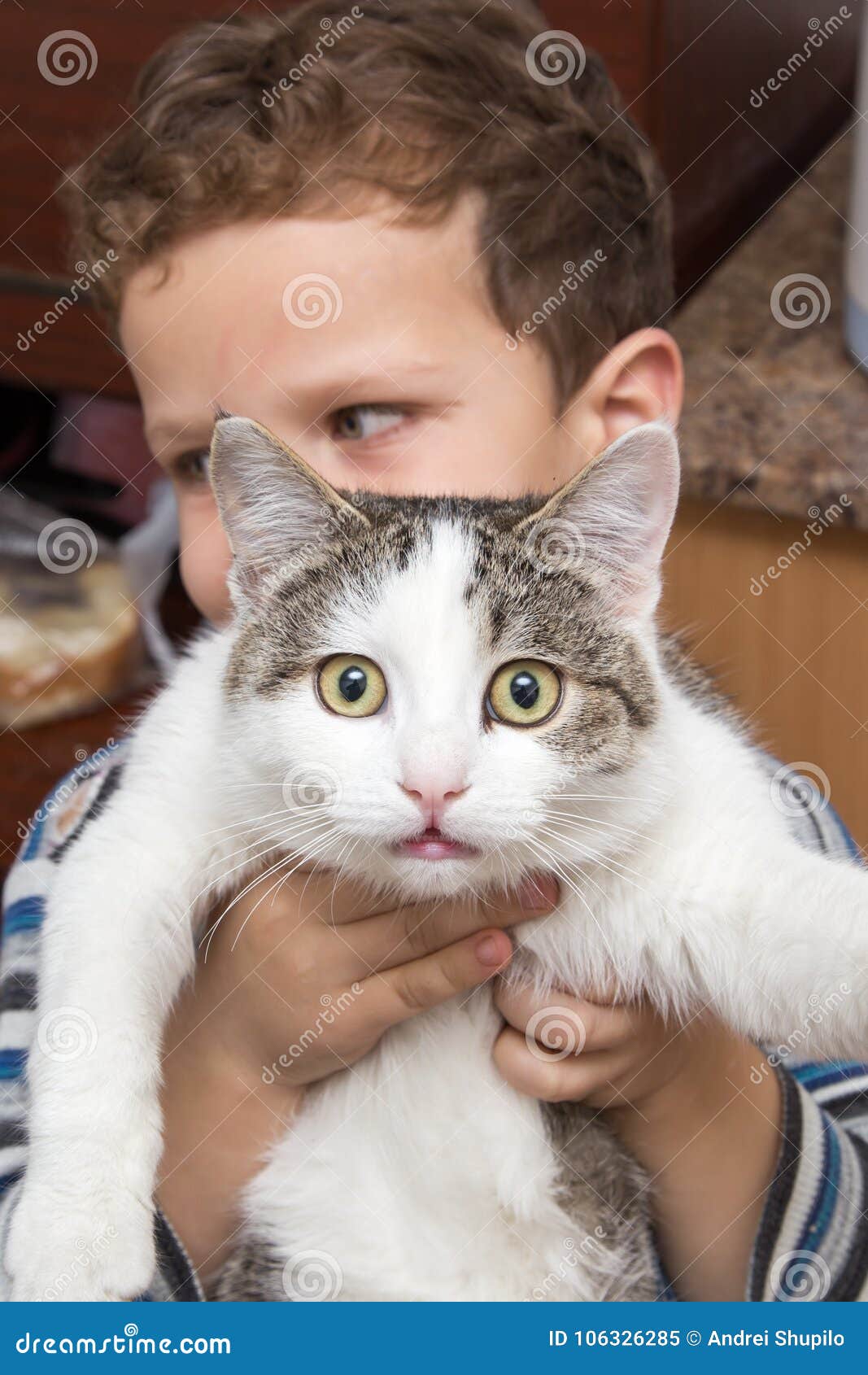 Boy holding a cat stock image. Image of child, kitten - 106326285