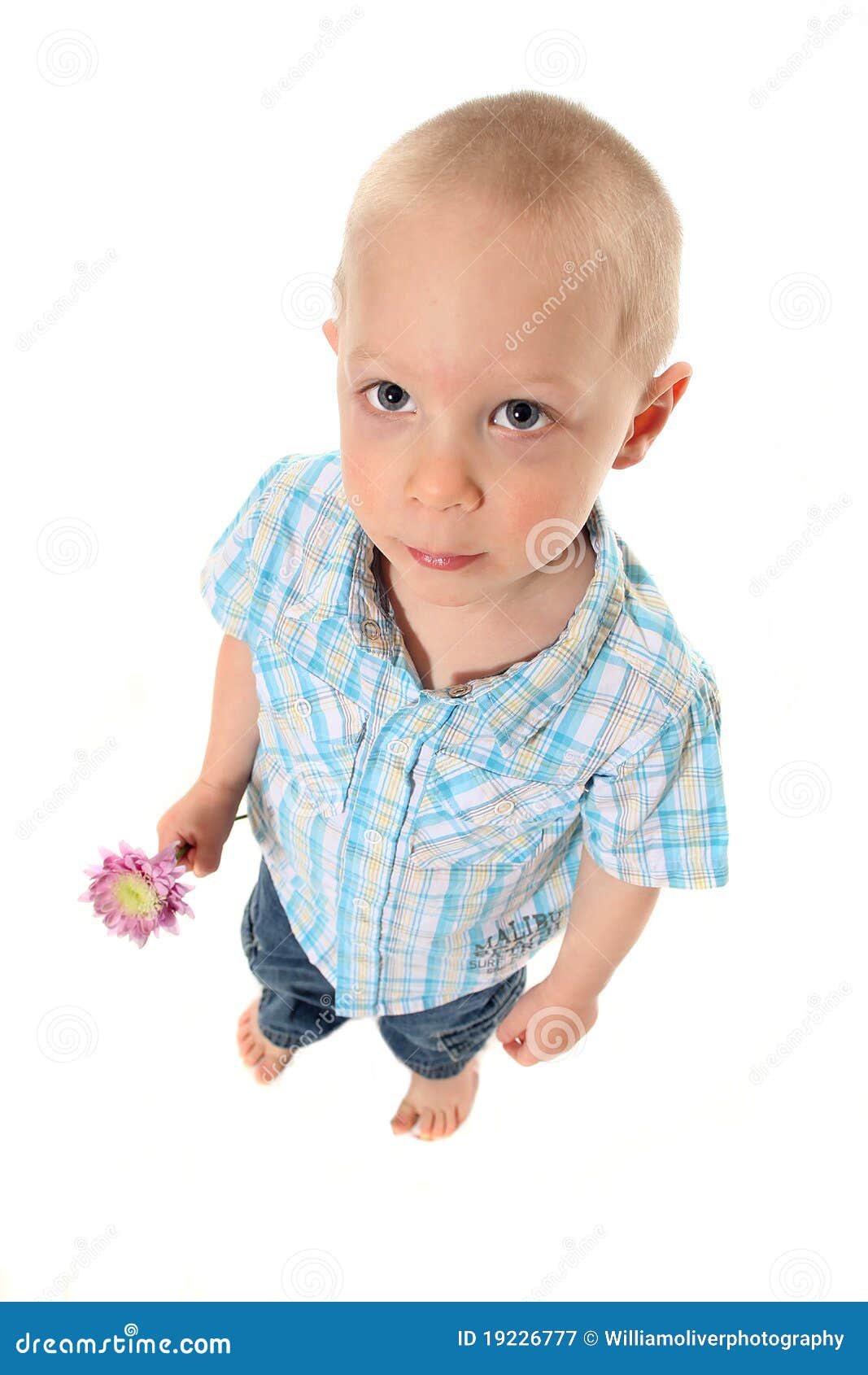 Boy holding flower stock image. Image of flowers, flower - 19226777