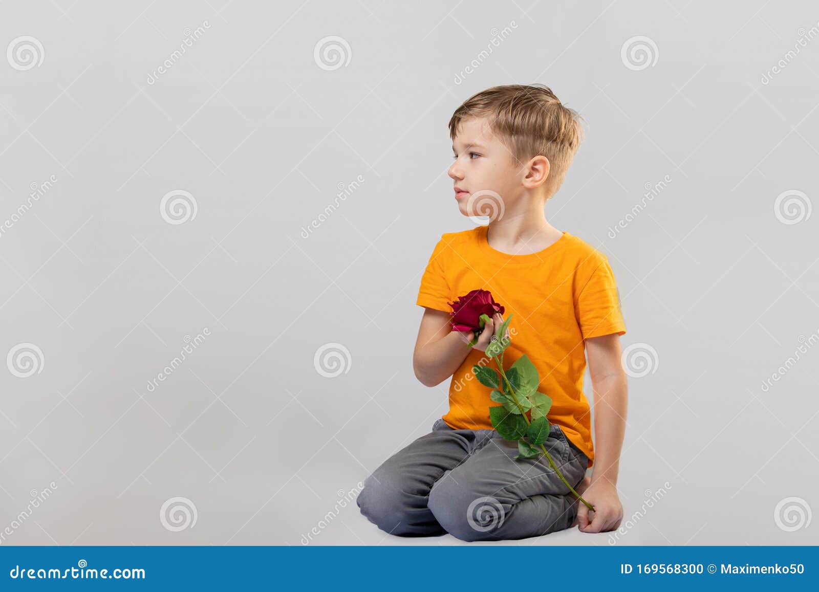 Boy Holding Flower of Red Rose on Long Stem. Copy Space Stock Photo ...