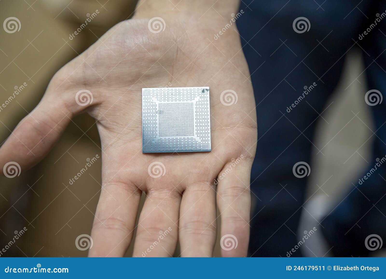 Boy Holding a GPU Processor Chip Stock Image - Image of digital, micro ...