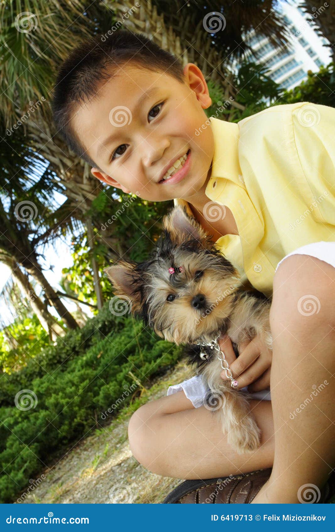 Boy holding his puppy stock image. Image of outside, chinese - 6419713