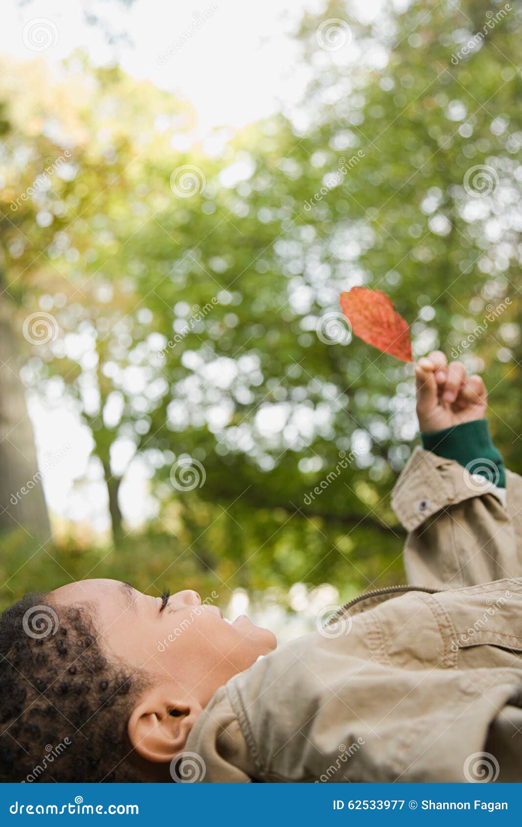 Boy holding a leaf stock image. Image of enjoy, autumn - 62533977