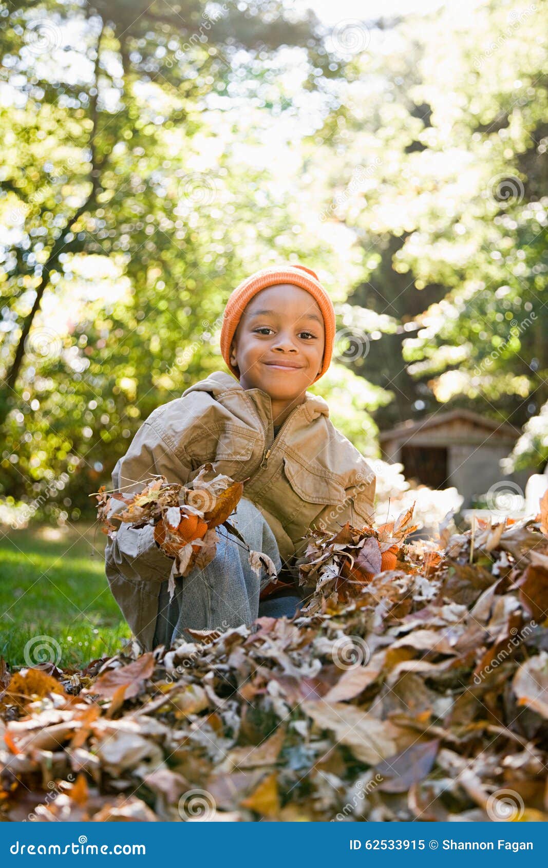 Boy holding leaves stock image. Image of holiday, little - 62533915
