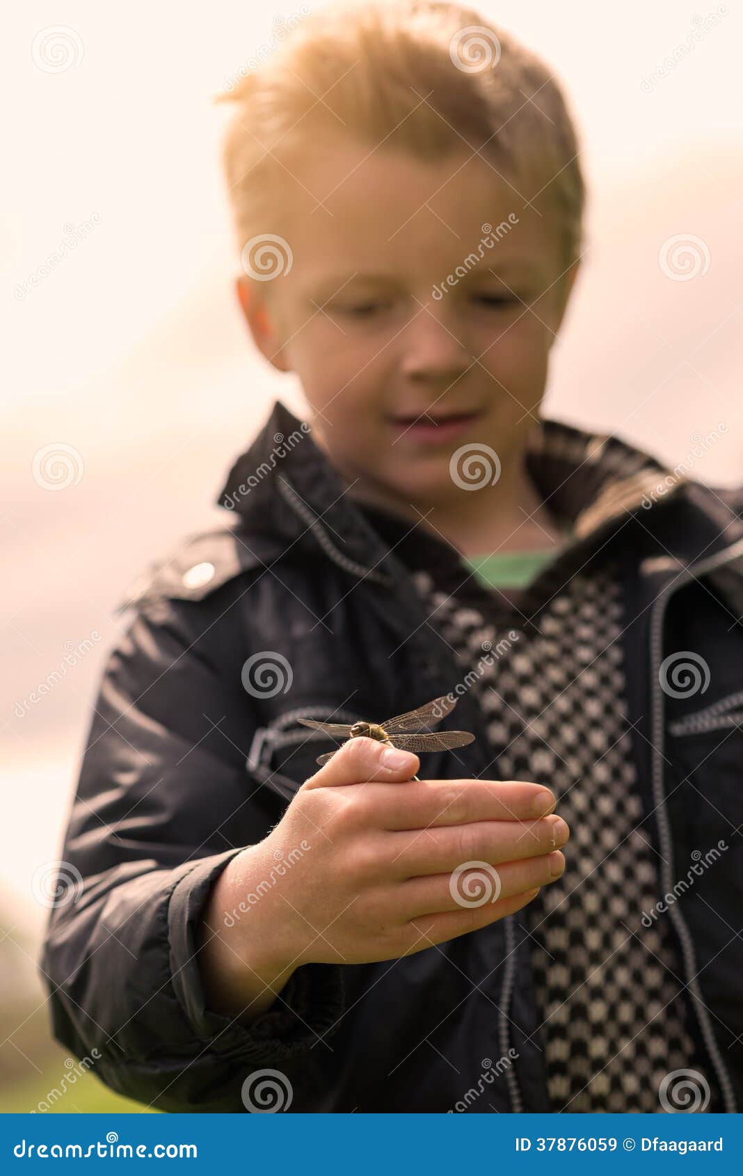 Boy Holding Little Dragonfly Stock Image - Image of holding, biology ...