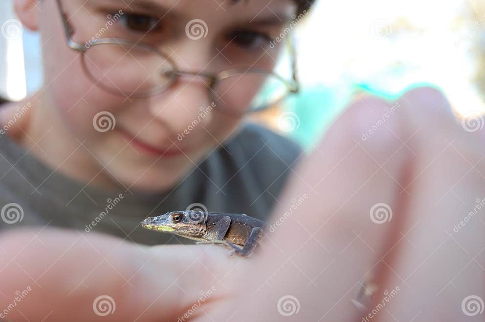 Boy holding lizard stock image. Image of nature, lizard - 5046971