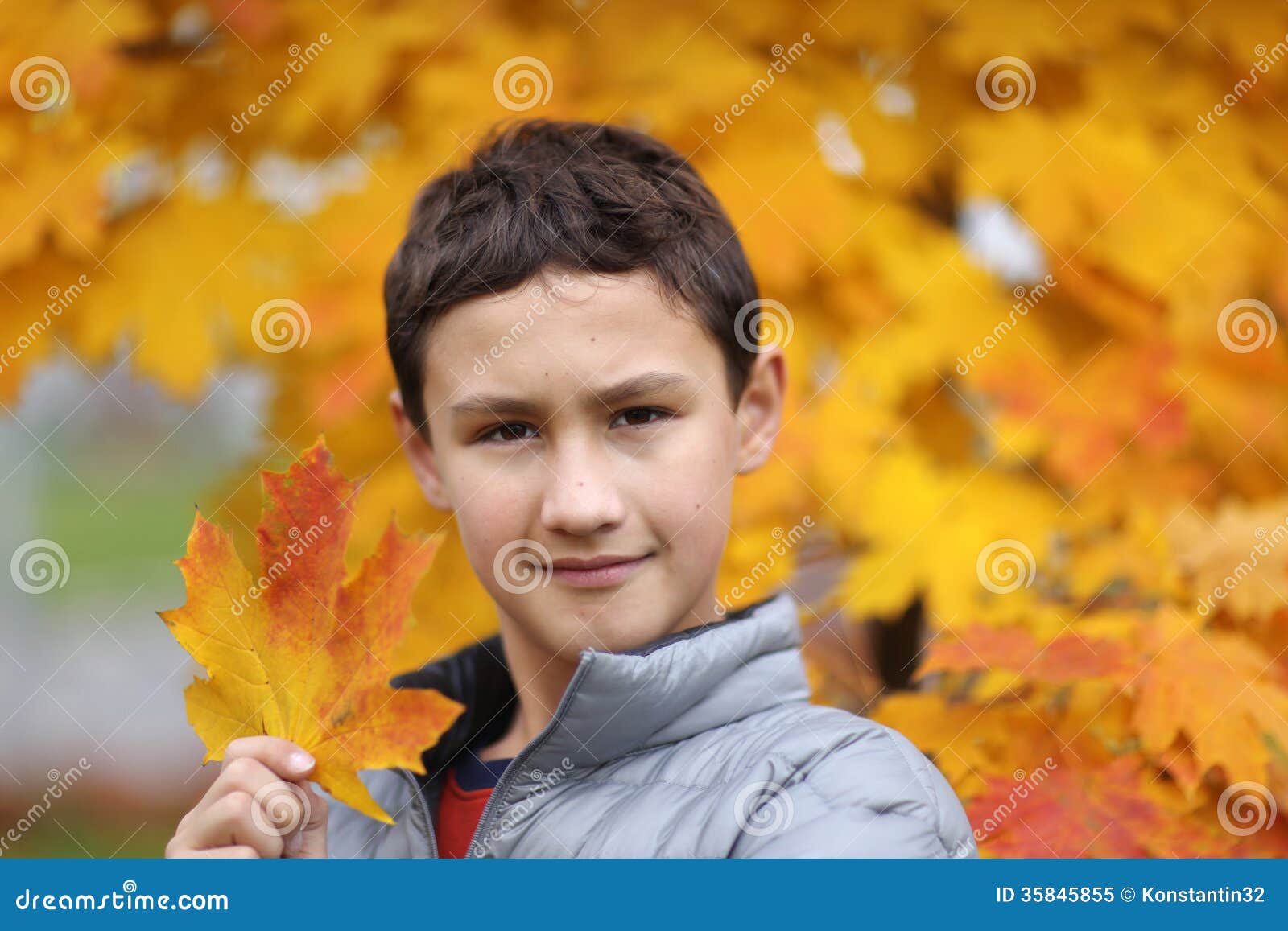 Boy holding a maple leaf stock image. Image of foliage - 35845855