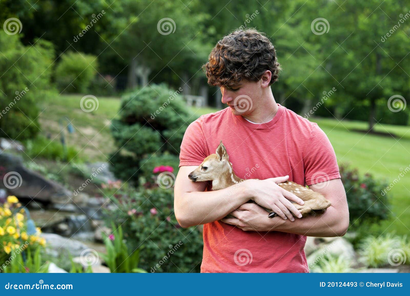 Boy Holding Newborn Fawn stock image. Image of spots - 20124493