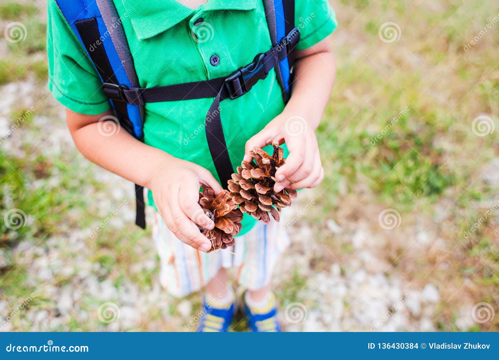 The Boy is Holding Pine Cones Stock Photo - Image of fall, autumn ...