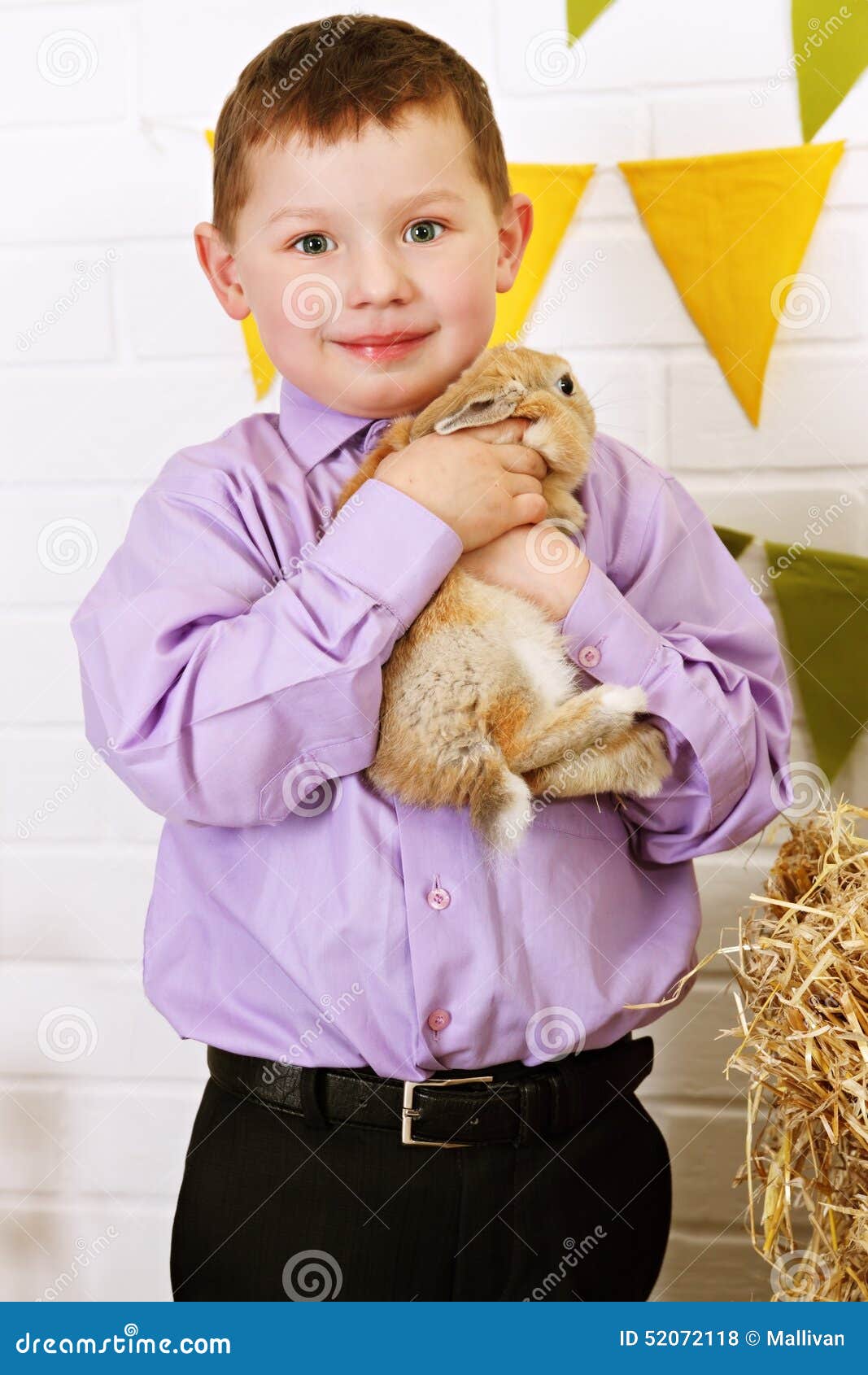 Boy holding a rabbit stock photo. Image of family, holiday - 52072118